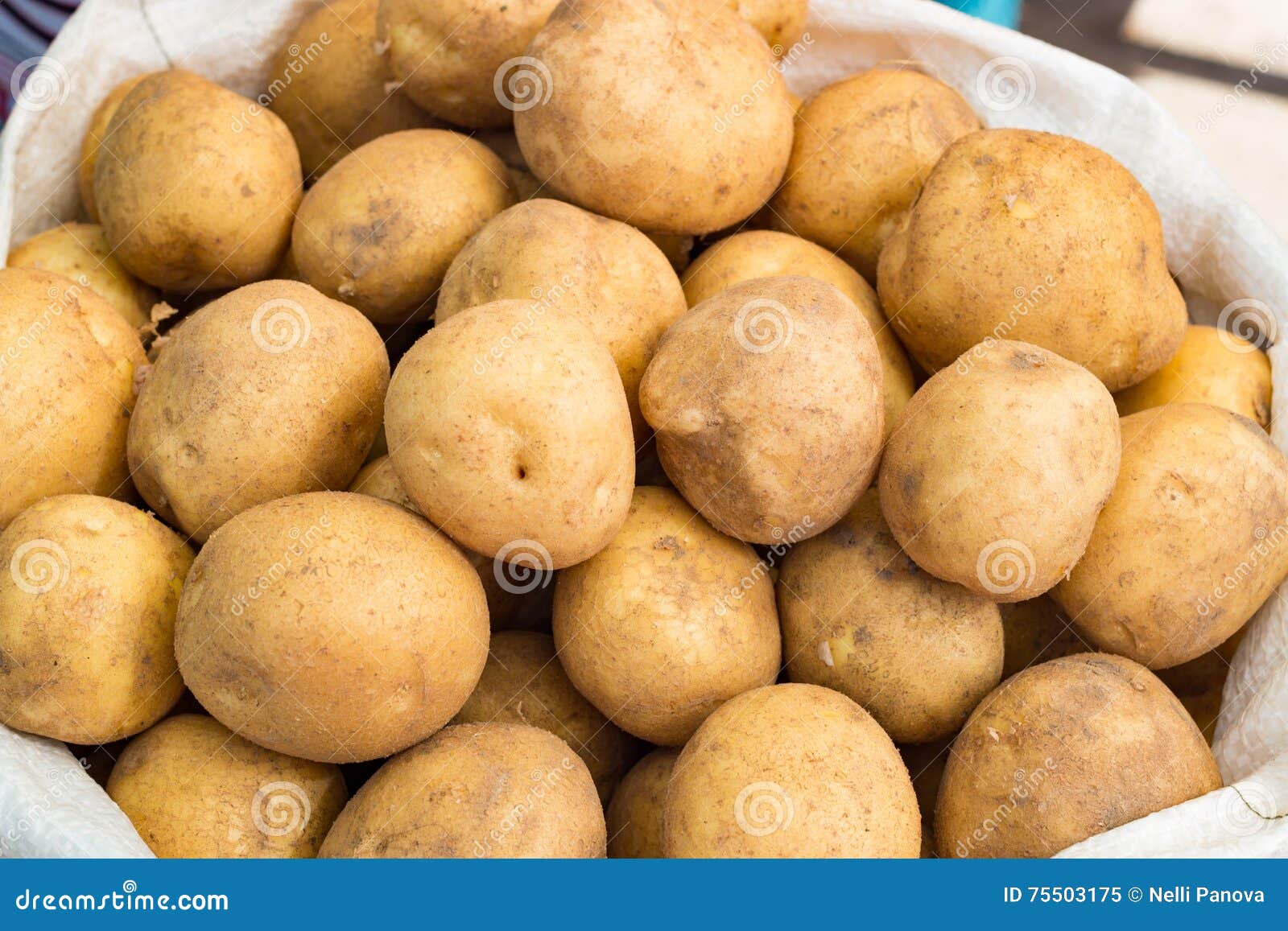 Fresh Potatoes is in the Bag Stock Image - Image of group, ingredients ...