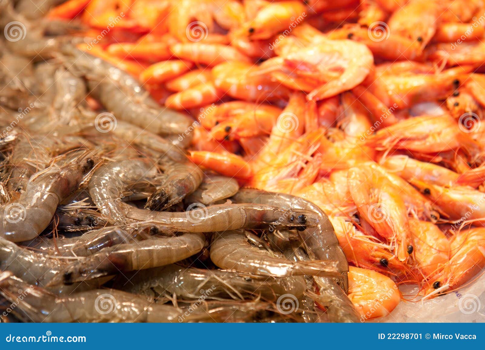 Fresh prawn stock image. Image of food, healthy, prawn - 22298701