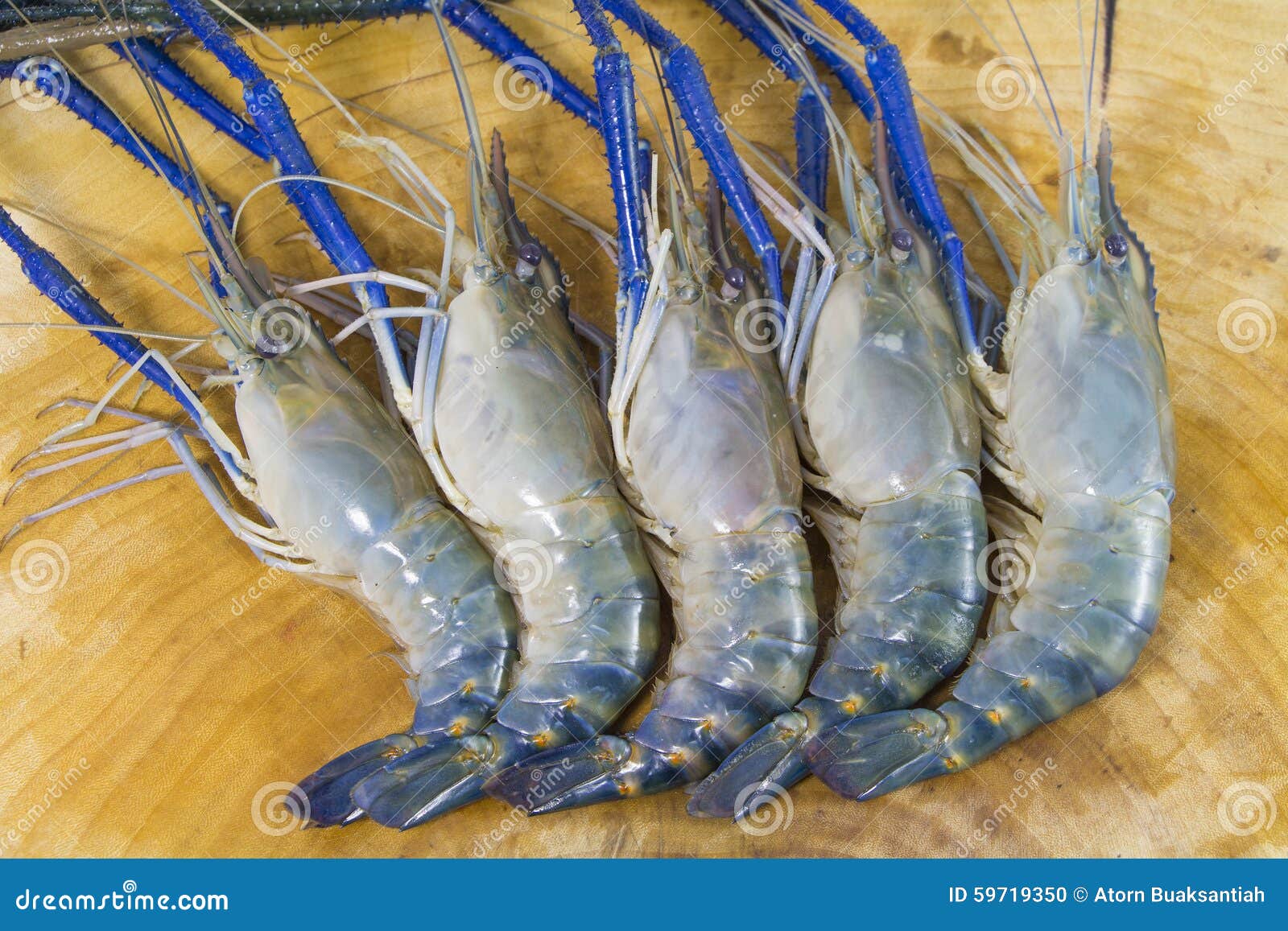 Fresh prawn stock photo. Image of cuisine, appetizer - 59719350