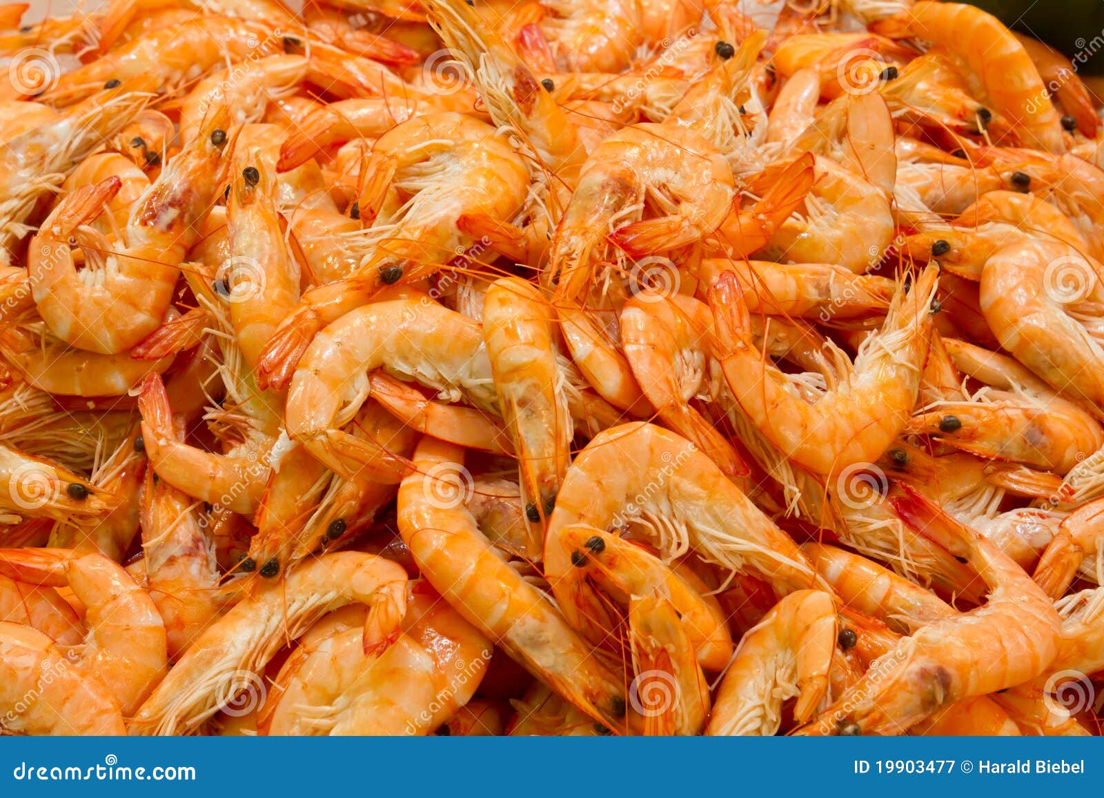 Fresh Prawns stock image. Image of dining, cuisine, delicacy - 19903477
