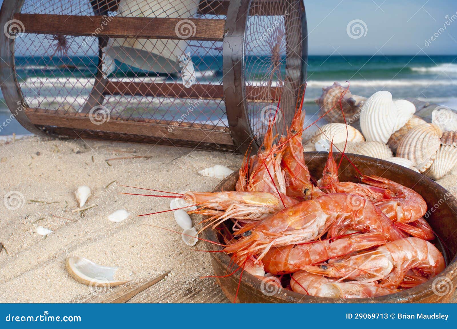 Fresh prawns on the beach stock image. Image of prawn - 29069713