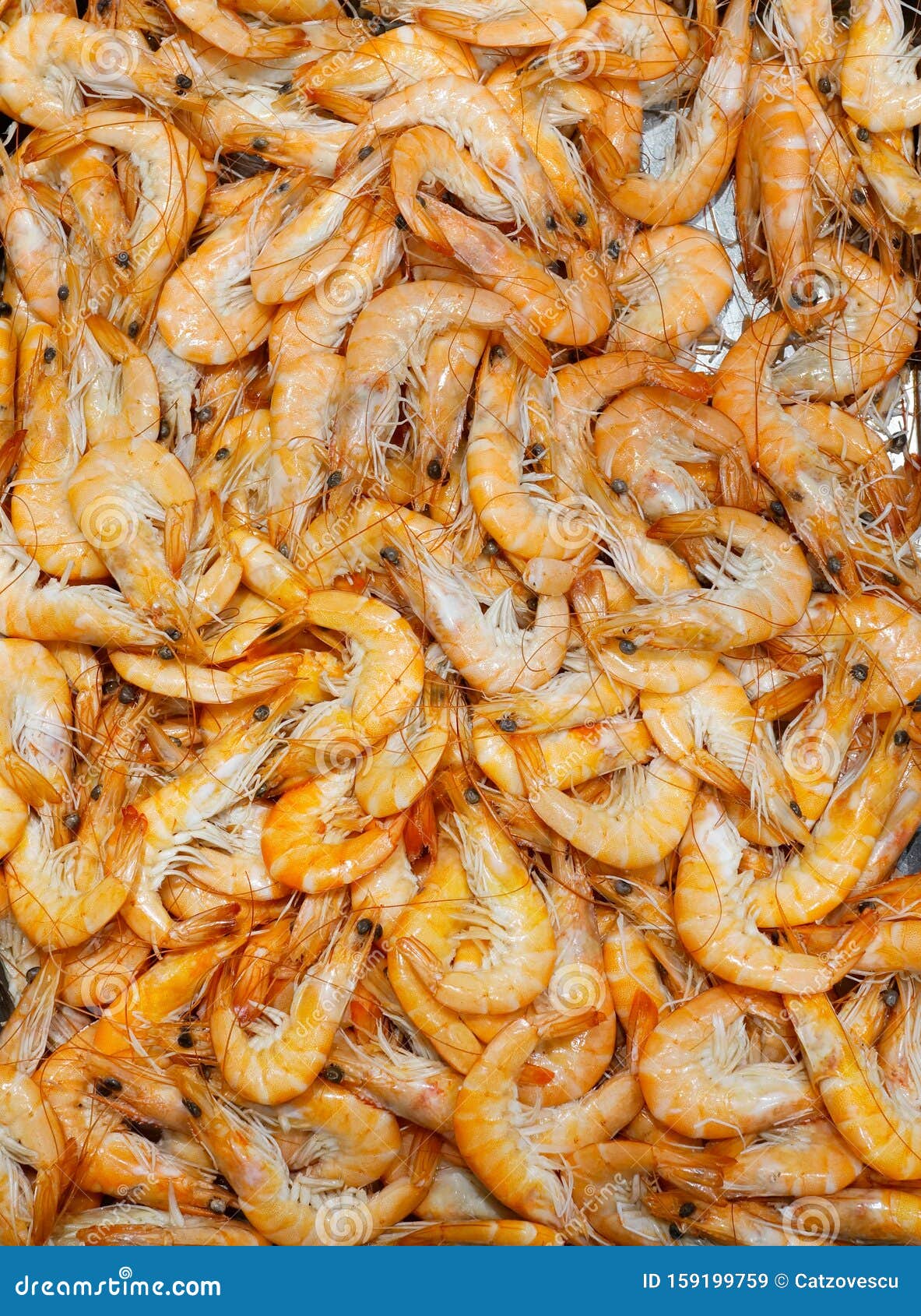 Fresh Prawns on Display at the Supermarket Stock Image - Image of fish ...