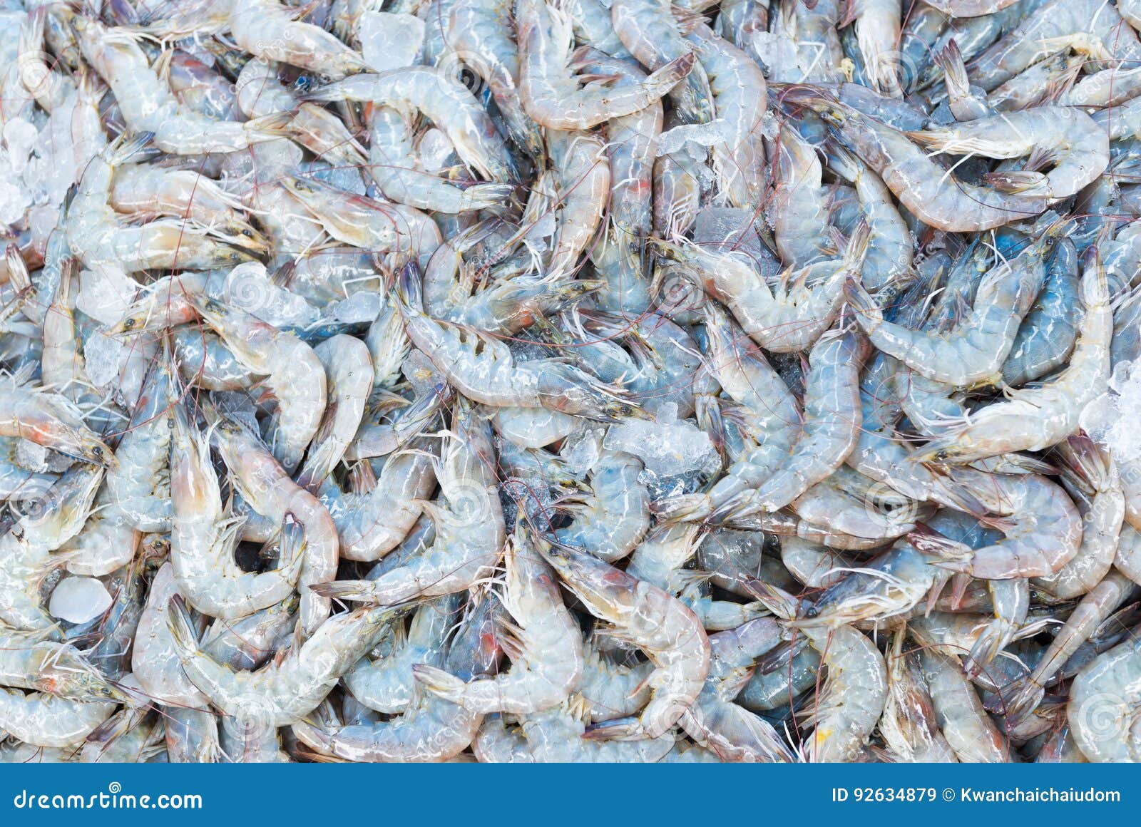 Fresh Prawns at Fish Market in Chonburi, Thailand Stock Image - Image ...