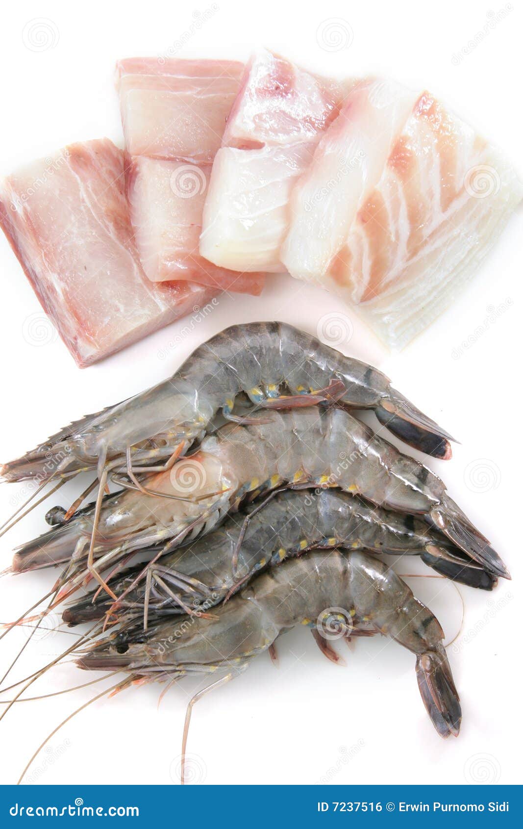 Fresh prawns and fish meat stock photo. Image of good - 7237516