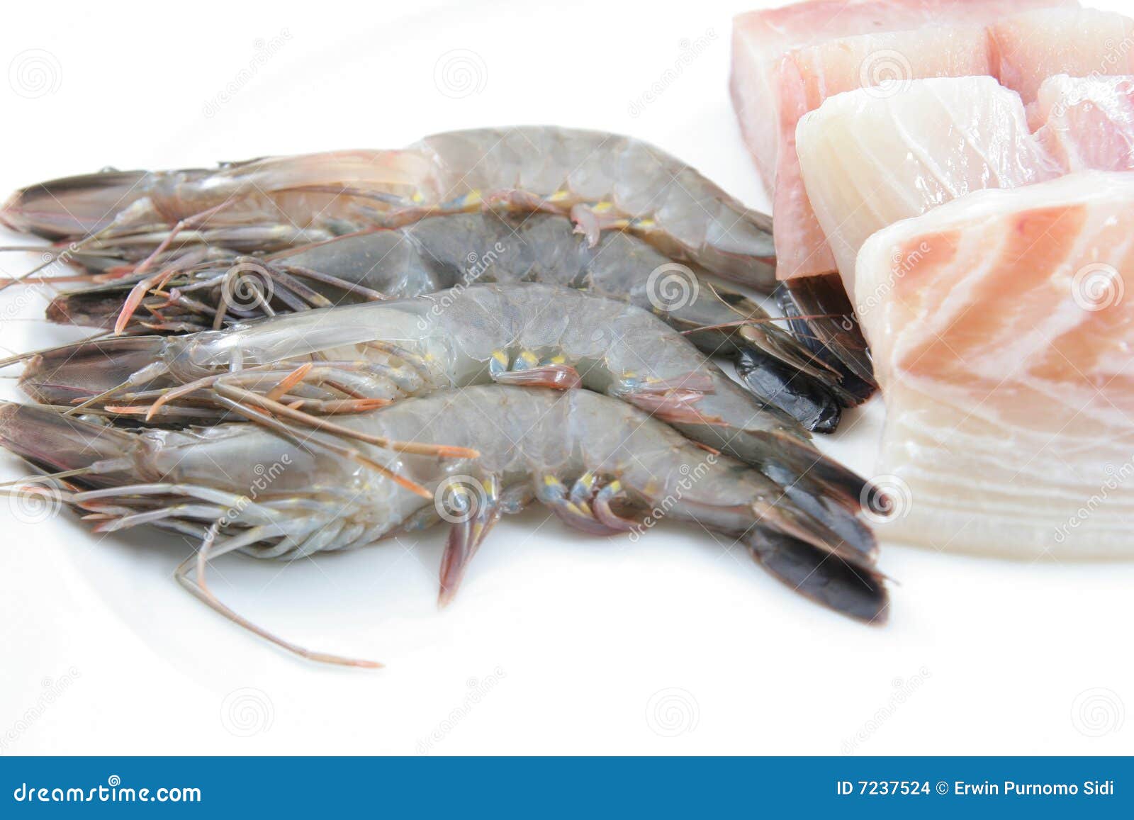Fresh prawns and fish meat stock photo. Image of shrimp - 7237524