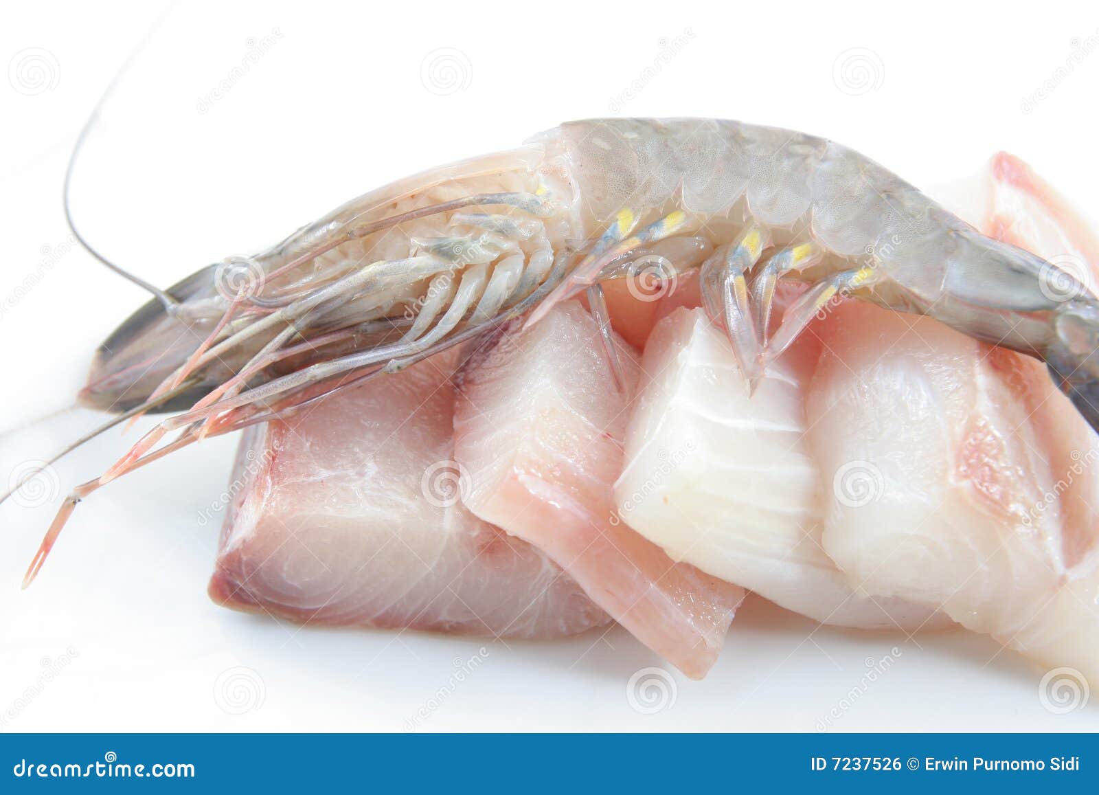 Fresh prawns and fish meat stock photo. Image of fresh - 7237526