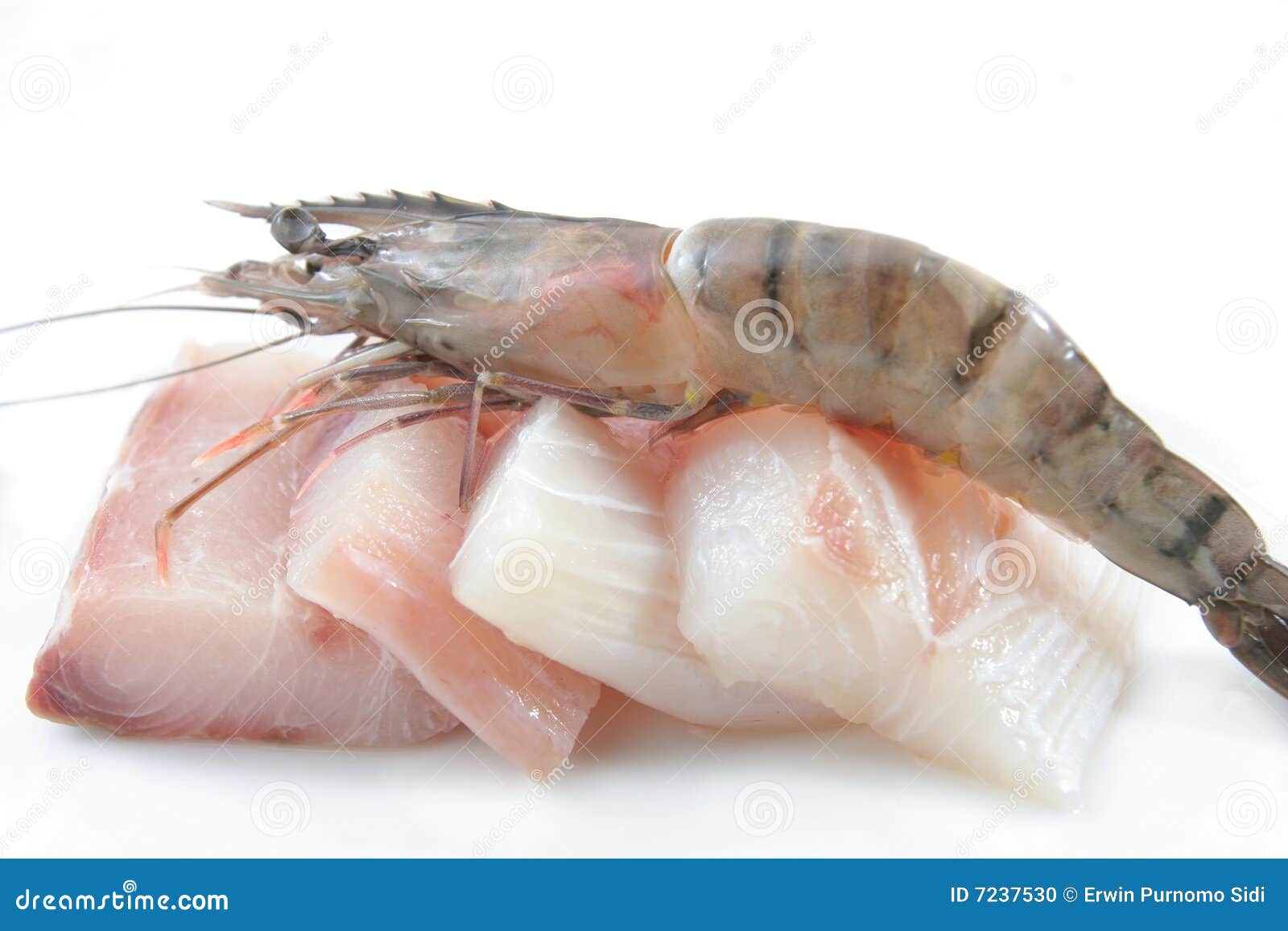 Fresh prawns and fish meat stock photo. Image of food - 7237530 Fresh prawns and fish meat stock photo. Image of food - 7237530
