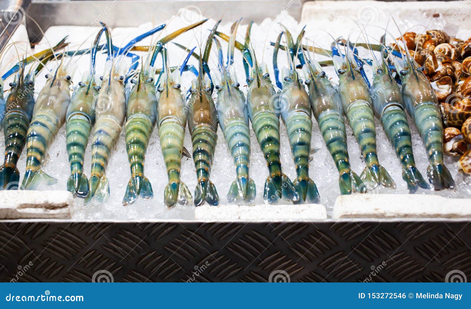 Fresh Prawns in Ice on the Market Stock Photo - Image of food, healthy ...