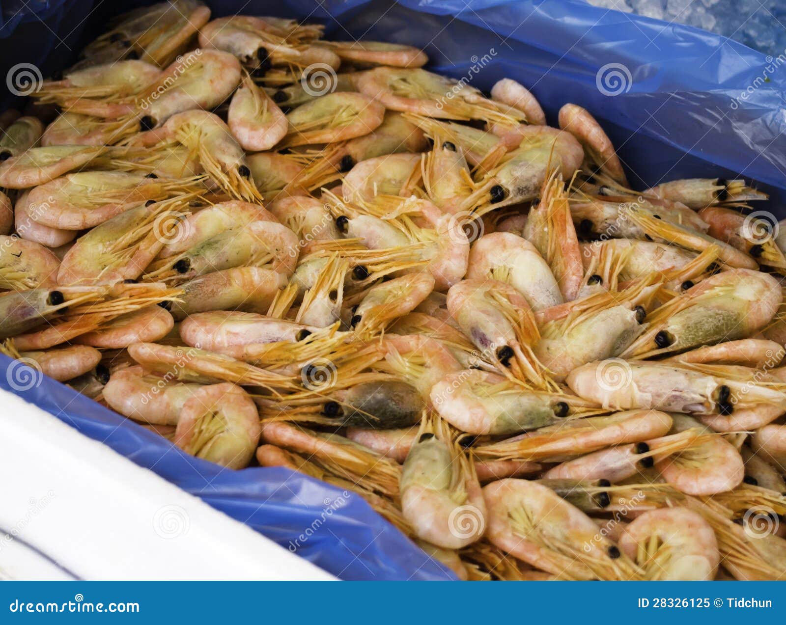 Fresh Prawns in a Market Place Stock Image - Image of stall, shrimp ...