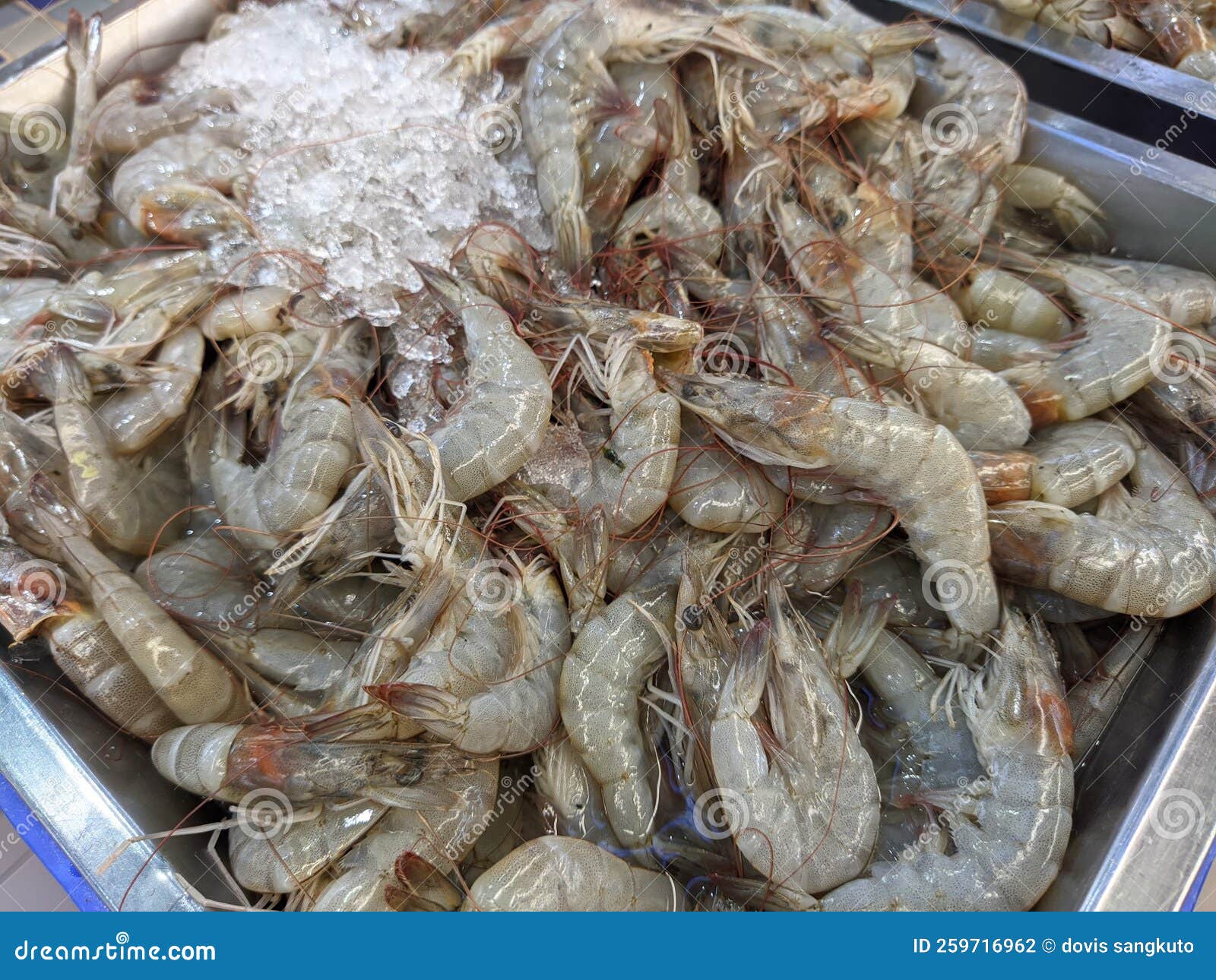Fresh Prawns Sold in Supermarkets Stock Photo - Image of animal ...