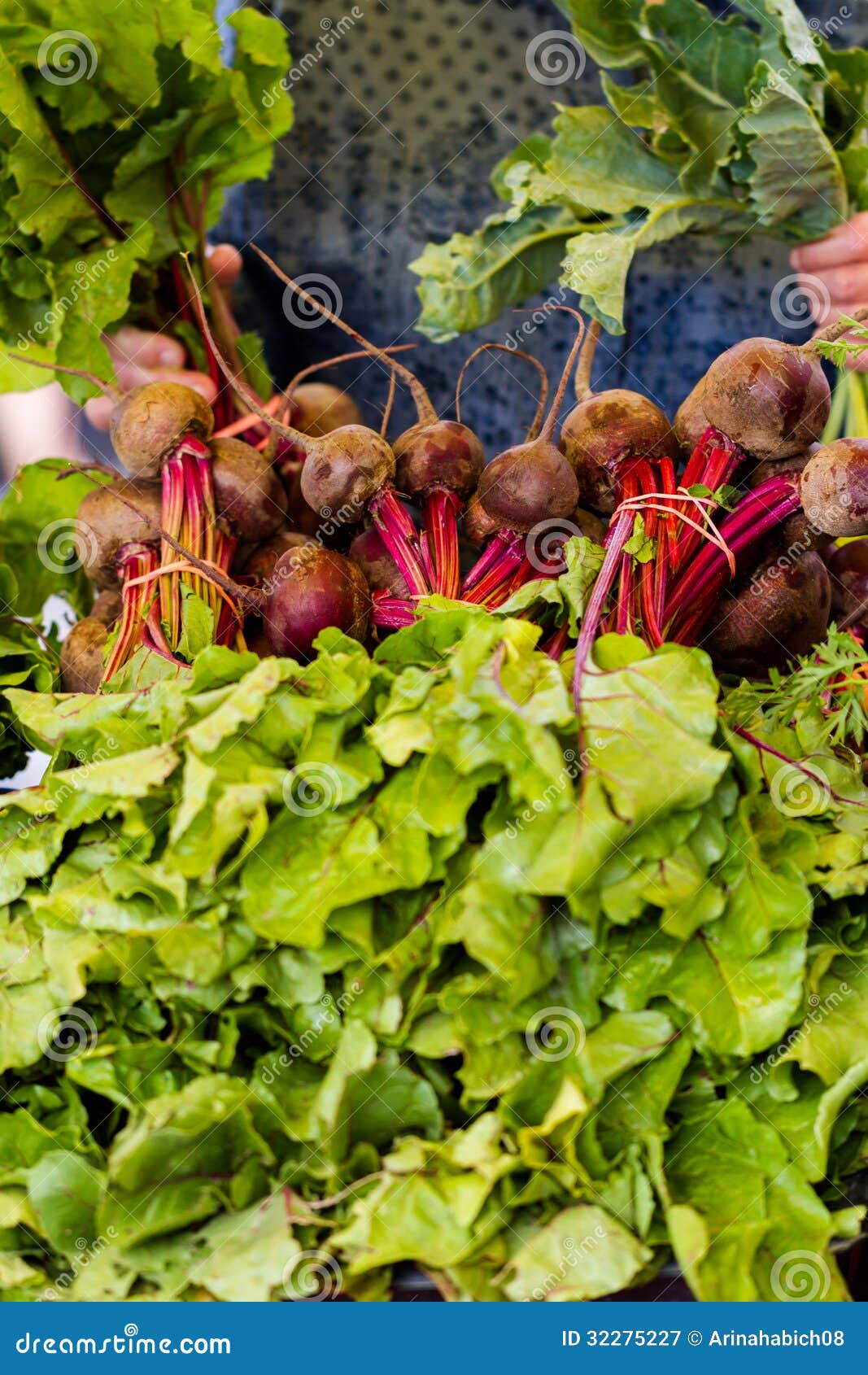 Fresh produce stock image. Image of produce, vegetable - 32275227