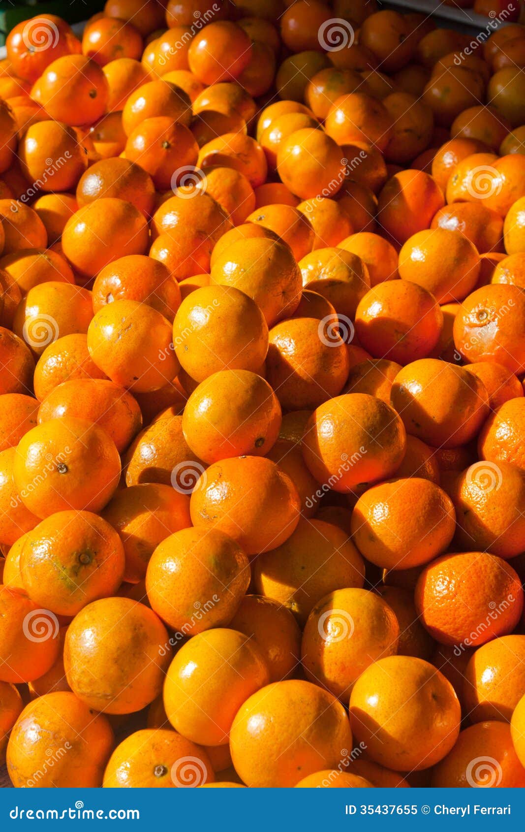 Fresh Produce Oranges stock image. Image of juice, natural - 35437655