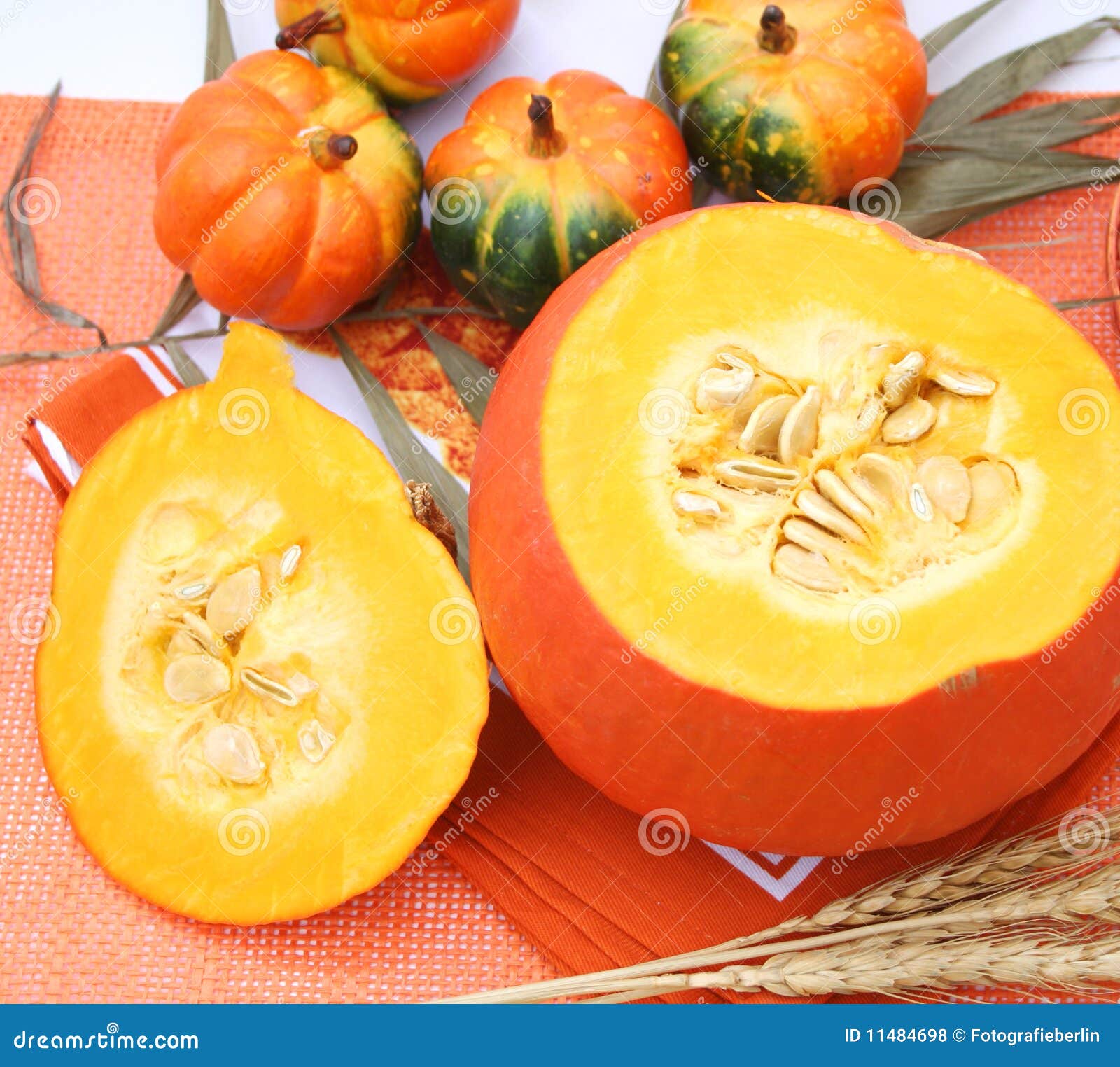 A fresh pumpkin stock photo. Image of pumpkin, vitamins - 11484698