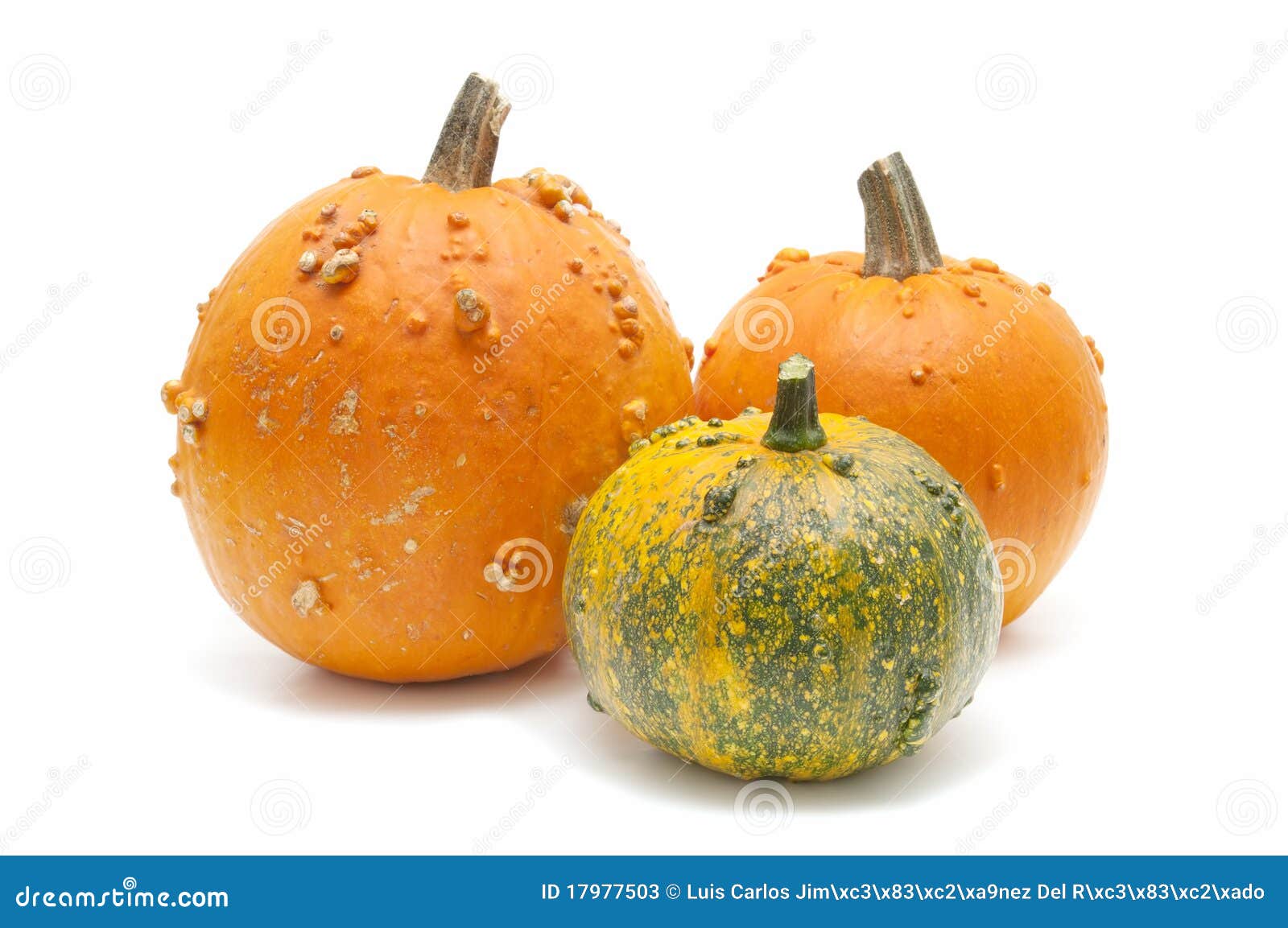 Fresh Pumpkin stock image. Image of nature, flora, macro - 17977503