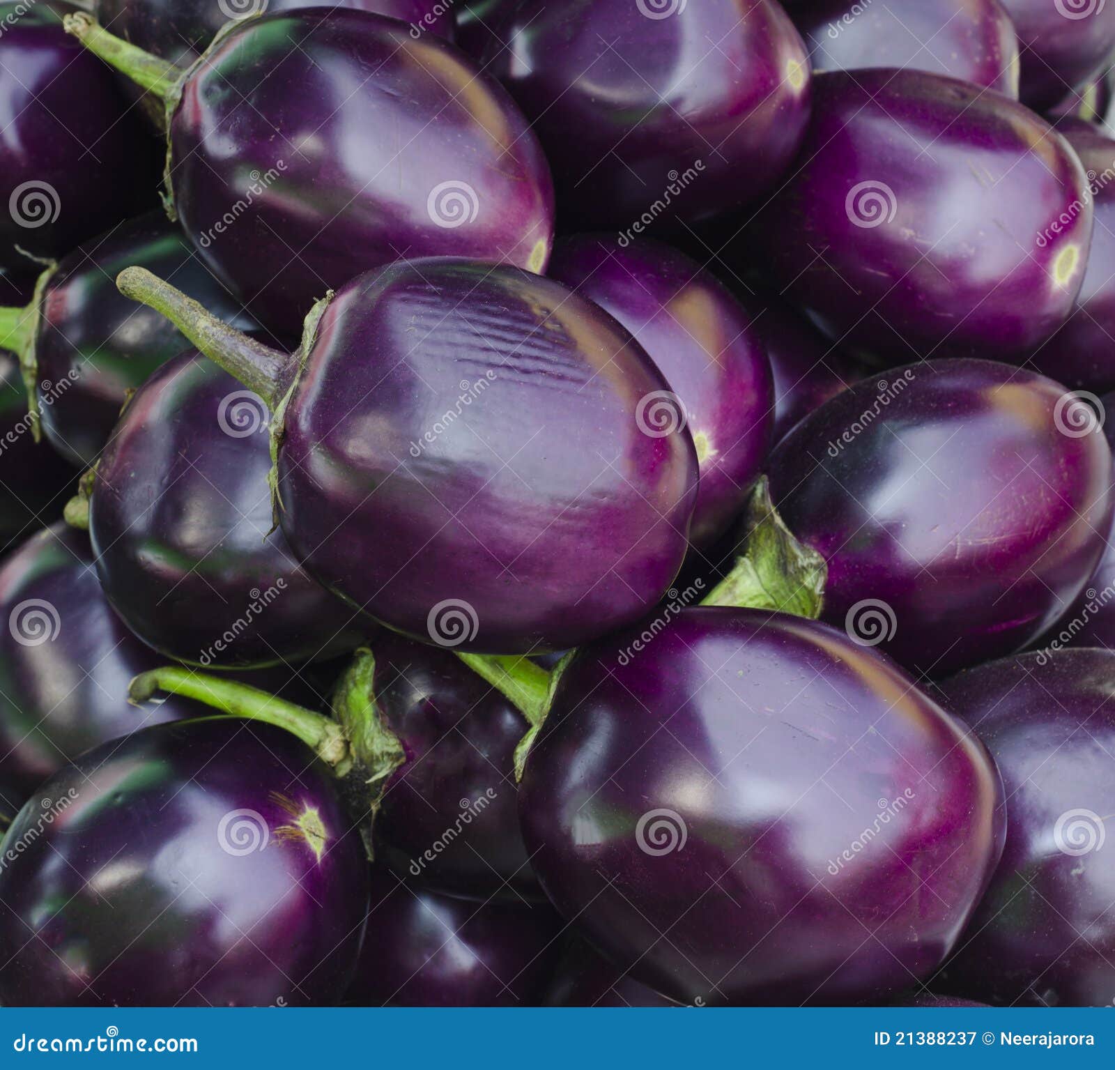 Fresh pumpkin stock image. Image of healthy, food, good - 21388237