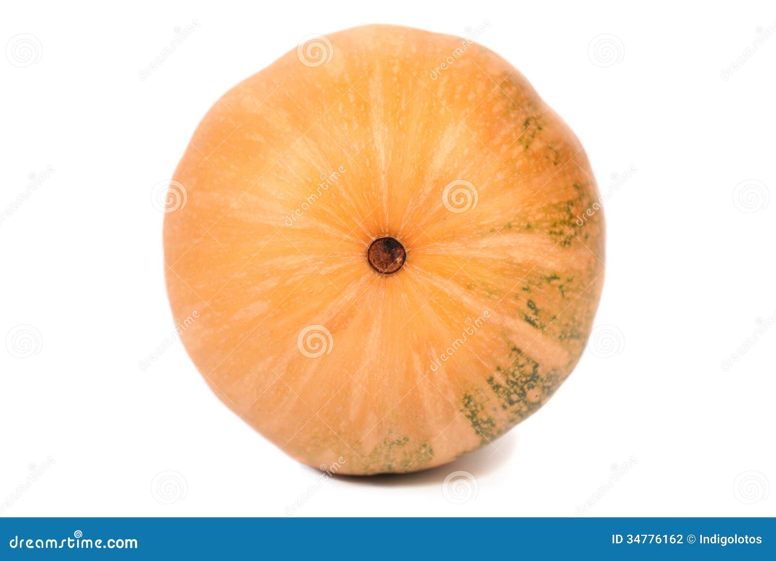 Fresh pumpkin. Bottom view stock photo. Image of bottom - 34776162