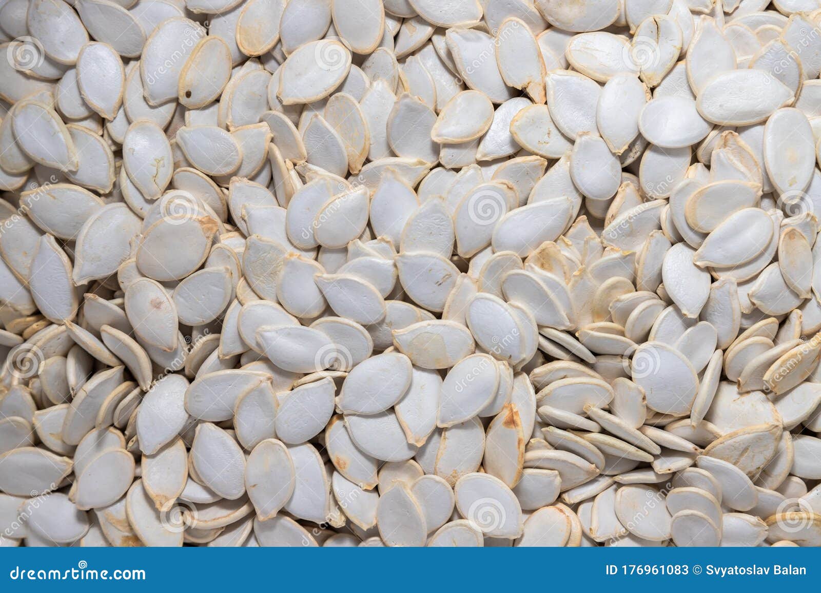 Fresh Pumpkin Seeds in White Shells. Background for Wallpaper in the ...