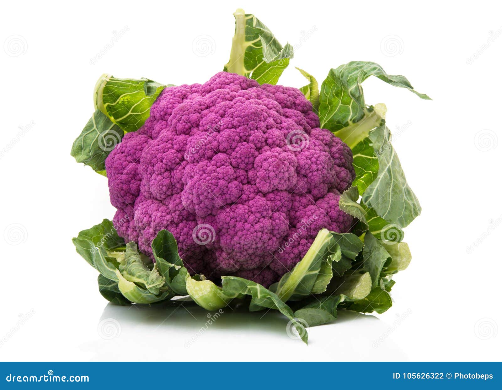 Purple Cabbage on White Background Stock Photo - Image of fresh, nature ...