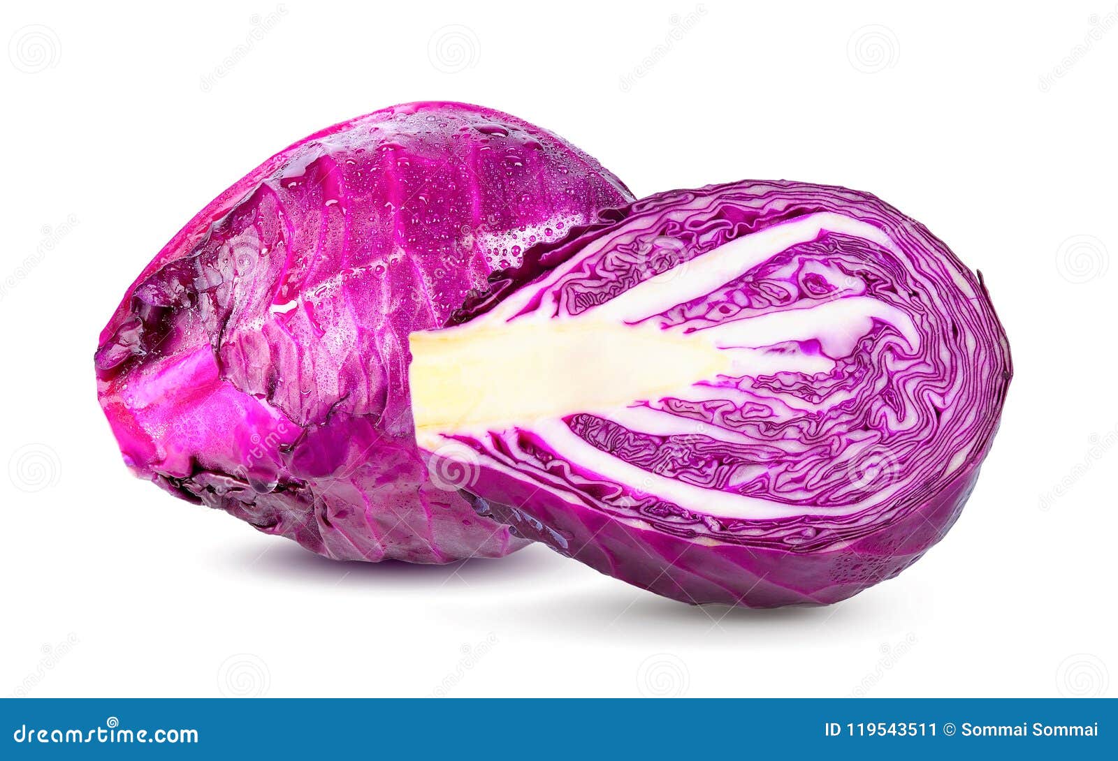 Fresh Purple Cabbage on White Background Stock Image - Image of head ...