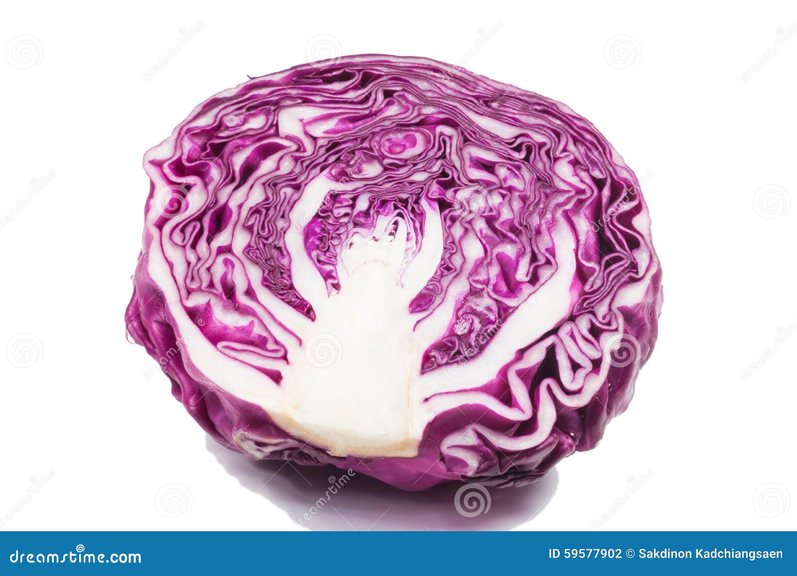 Fresh Purple cabbage stock photo. Image of tasty, purple - 59577902