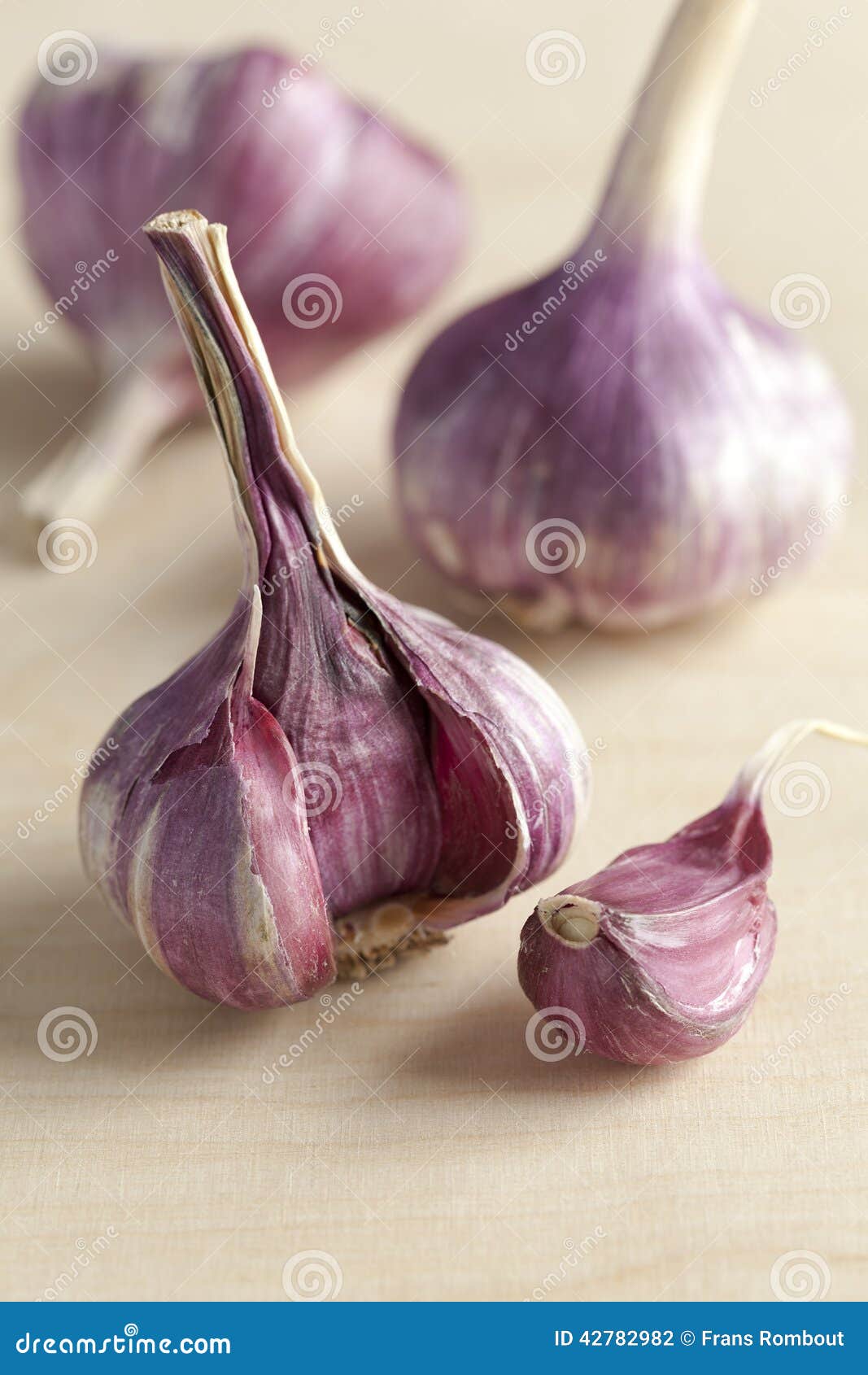 Fresh purple garlic stock photo. Image of food, seasoning - 42782982