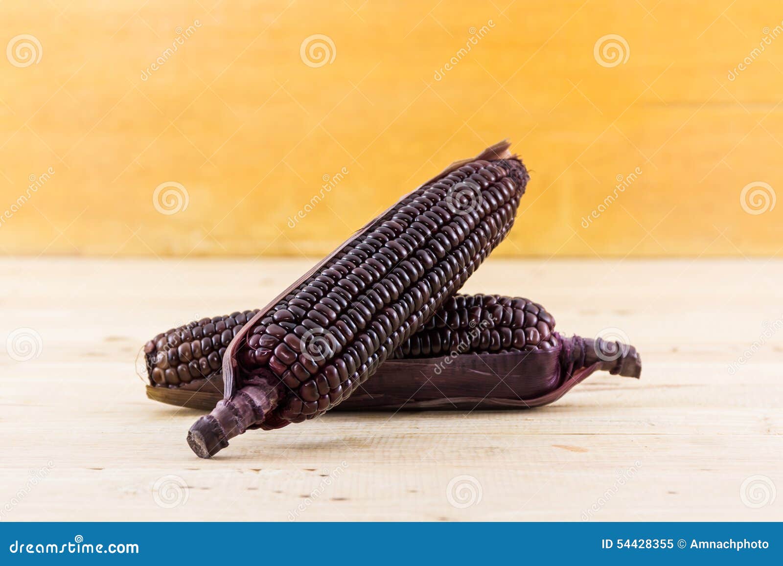 Fresh Purple Organic Corn, Maize . Stock Image - Image of crop ...