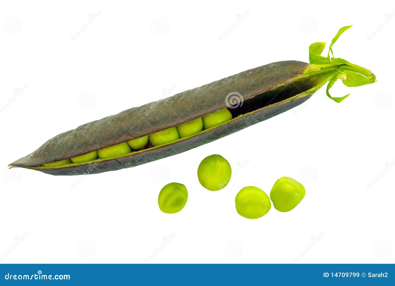 Fresh Purple Podded Peas -isolated Stock Image - Image of food, nature ...