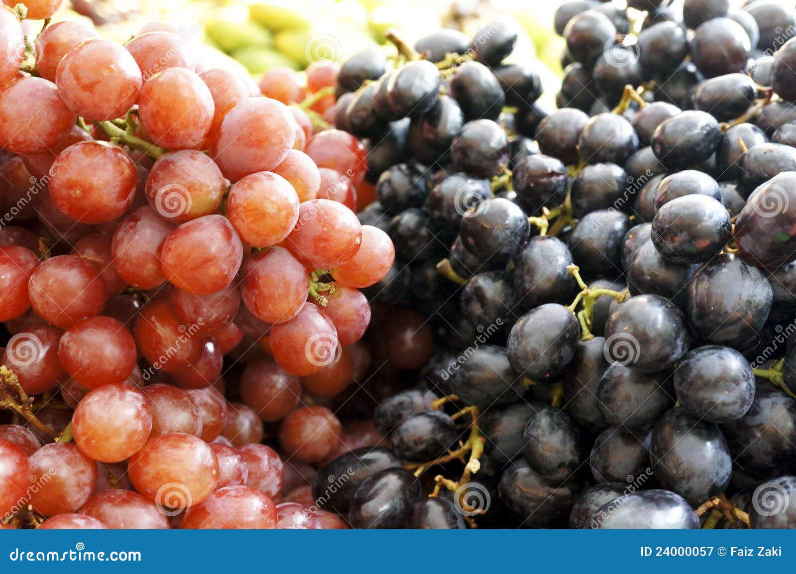 Fresh Purple and Red Grape stock image. Image of grape - 24000057