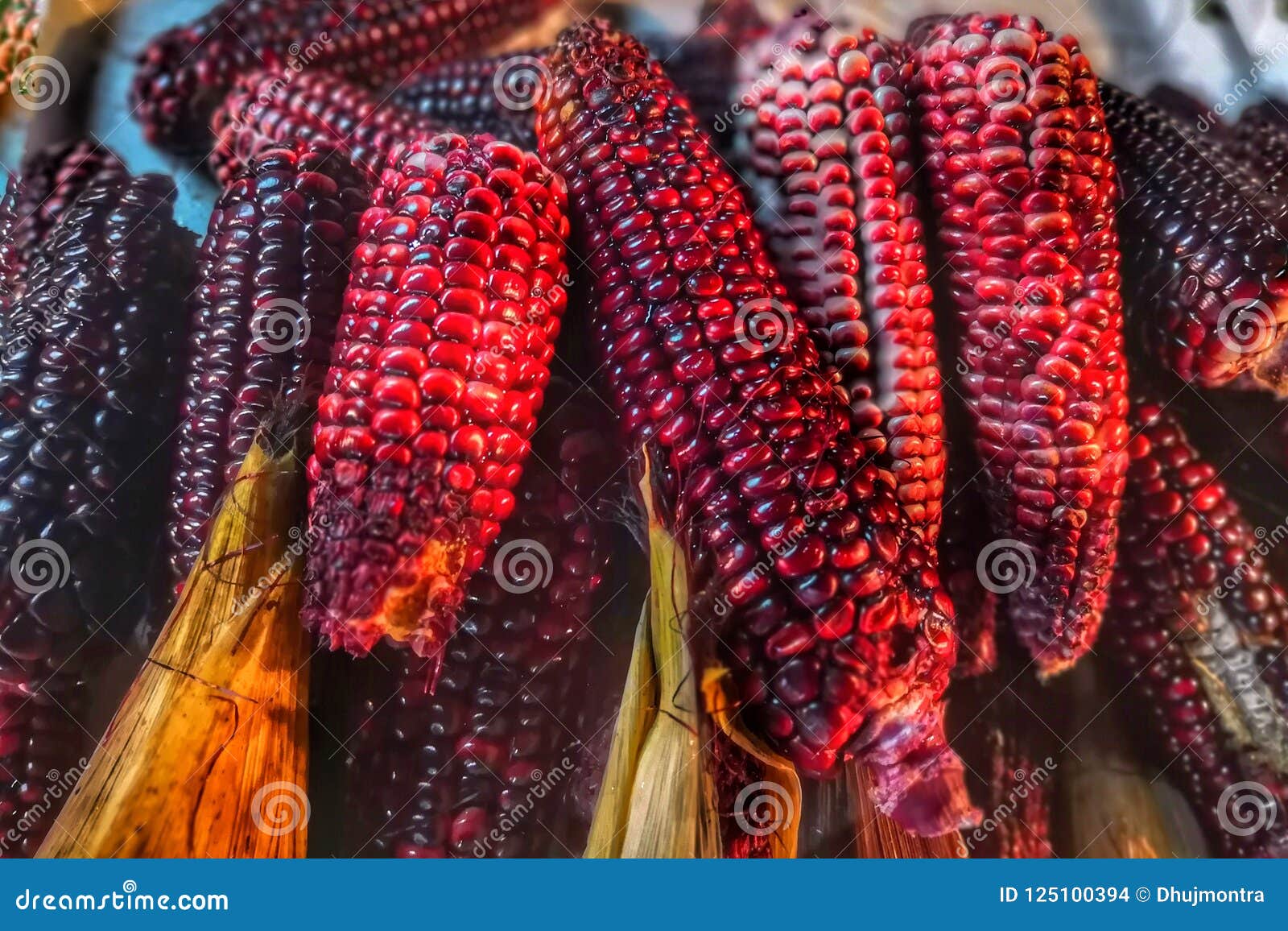 Fresh sticky rice corn stock photo. Image of harvest - 125100394
