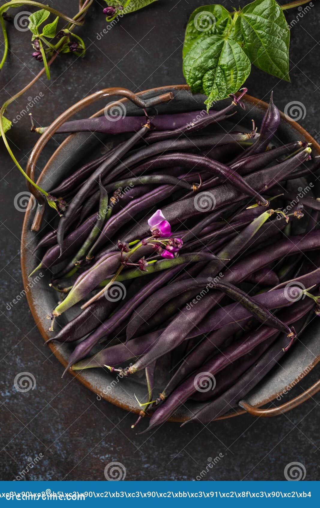 Fresh Purple String Beans on a Black Table, Clean Eating, Selective ...