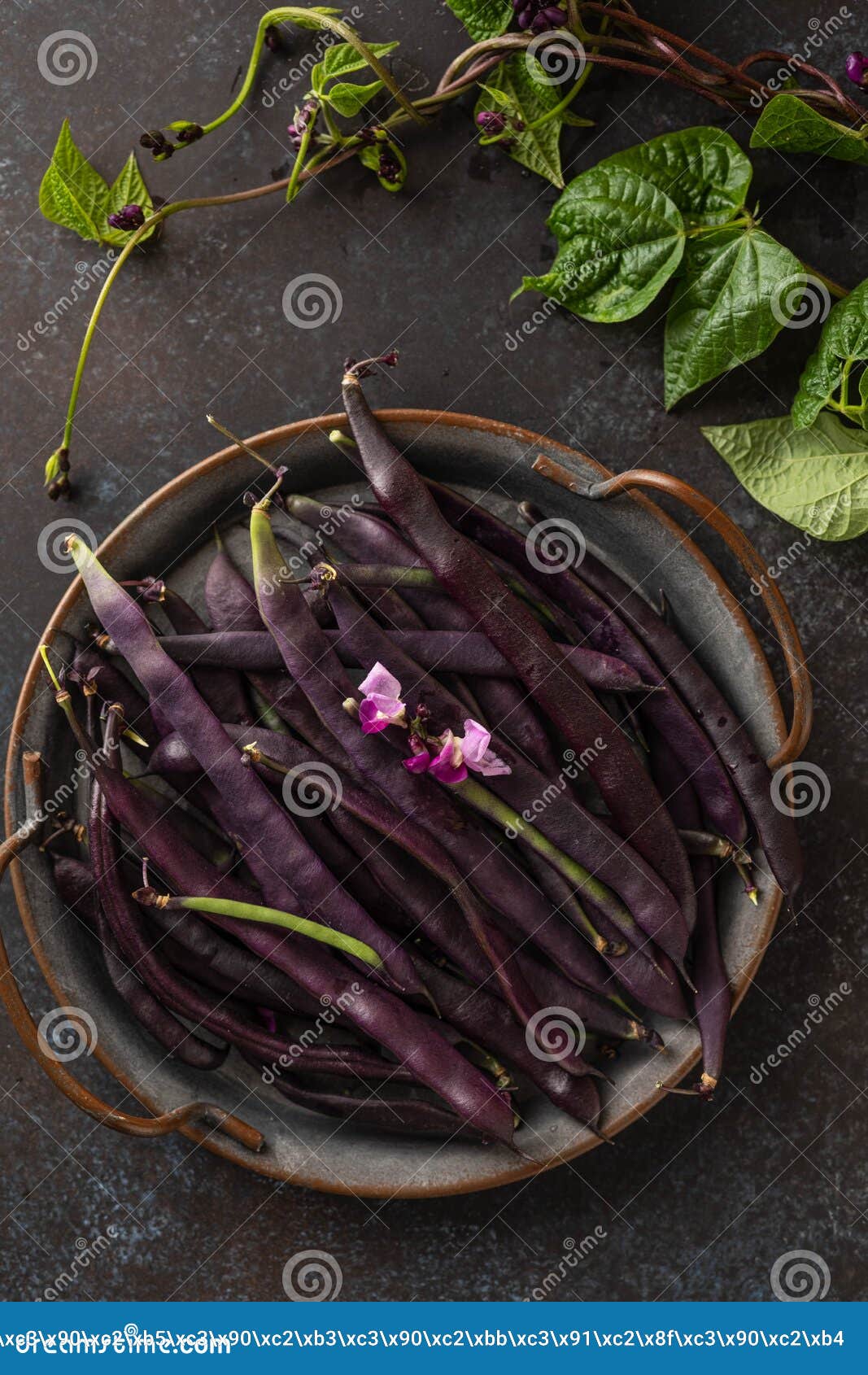 Fresh Purple String Beans on a Black Table, Clean Eating, Selective ...