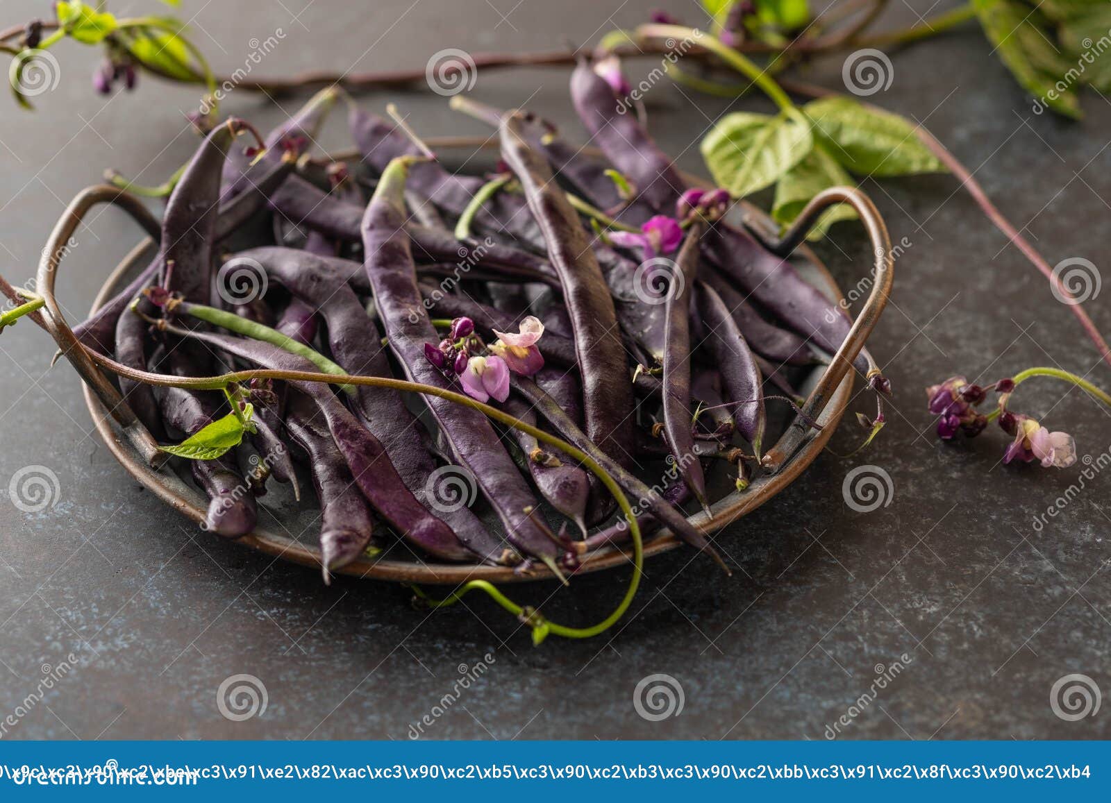 Fresh Purple String Beans on a Black Table, Clean Eating,selective ...