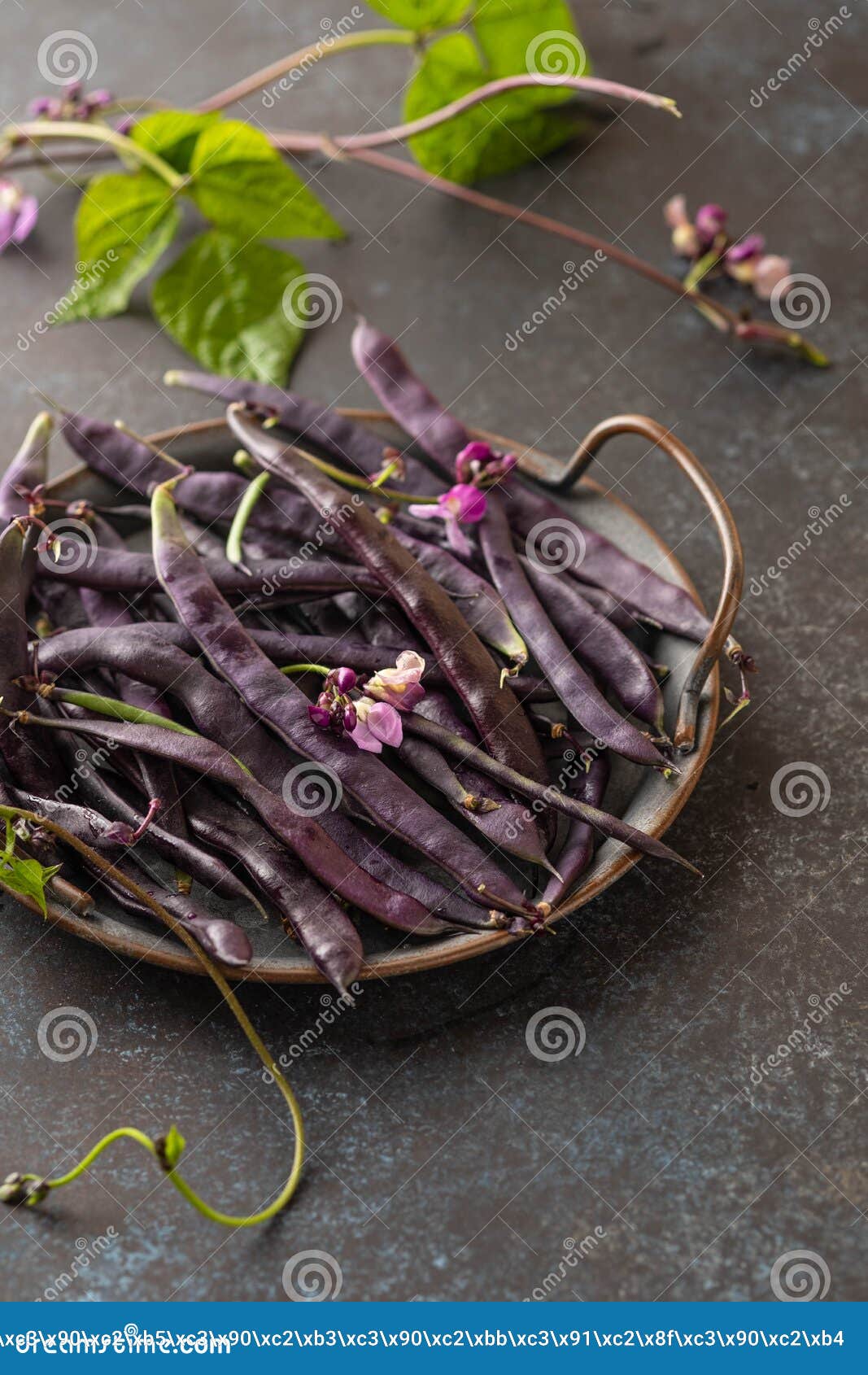 Fresh Purple String Beans on a Black Table, Clean Eating,selective ...
