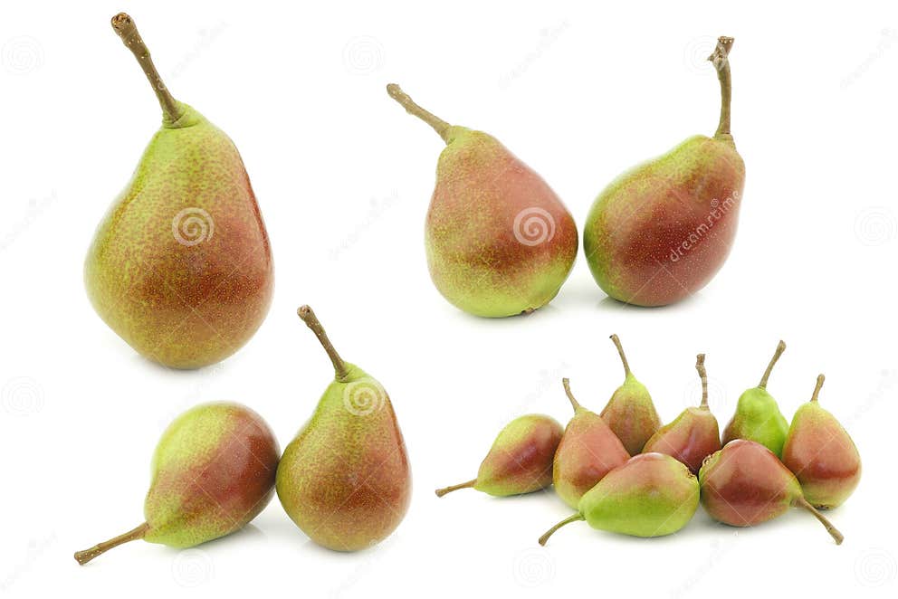 Fresh `Qtee` pears stock image. Image of blush, nutritious - 219883087