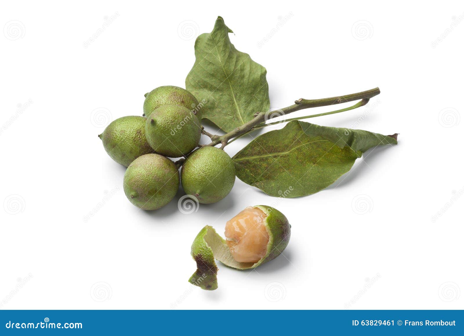 Genip