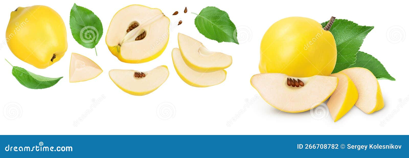 Fresh Quince with Half and Slices Isolated on the White Background. Top ...