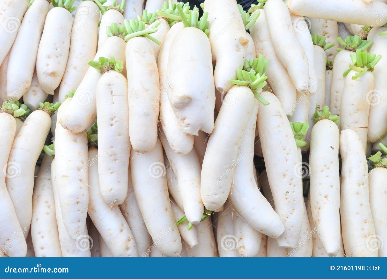 Fresh raddish stock photo. Image of fresh, radish, stacked - 21601198