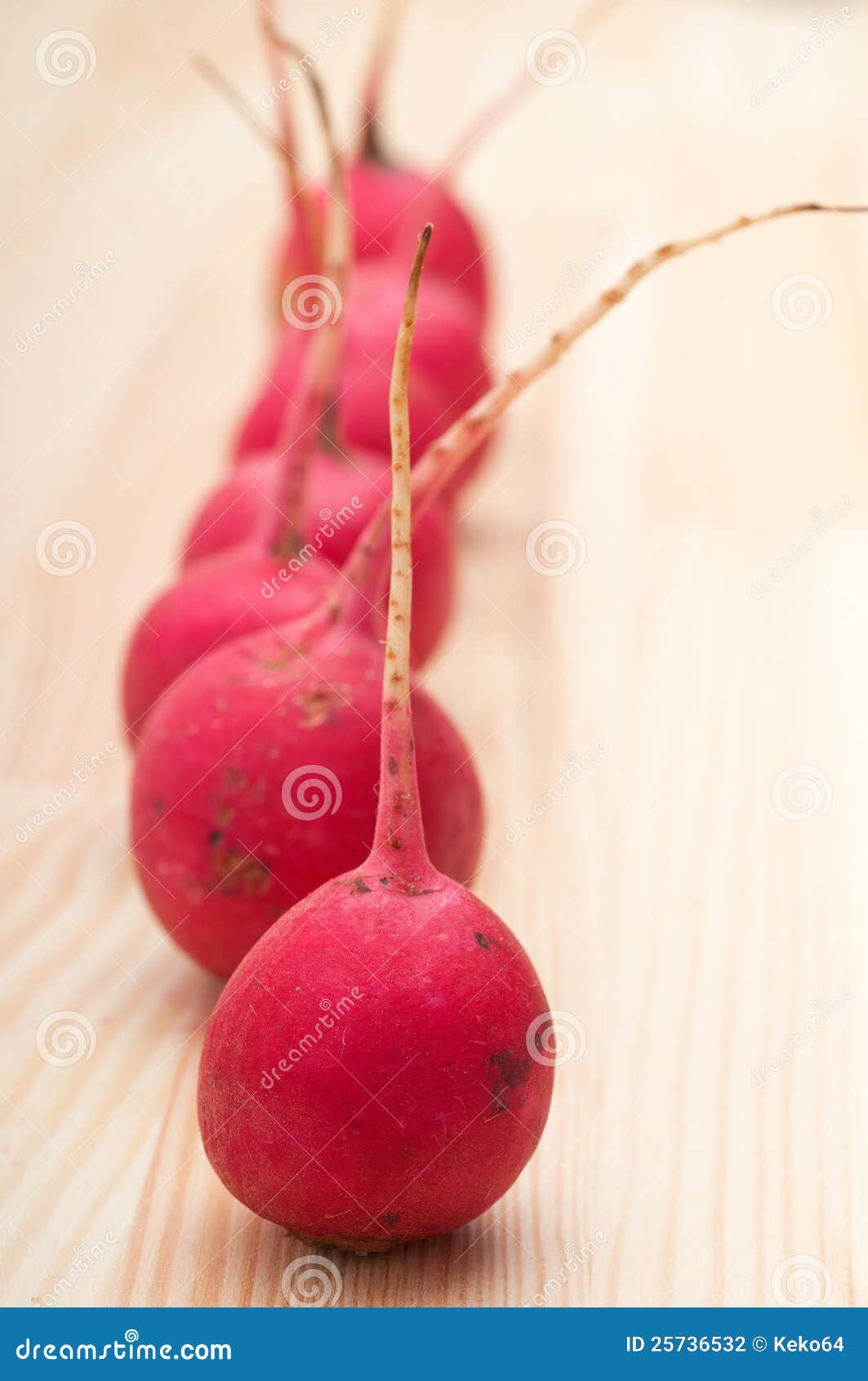 Fresh raddish stock photo. Image of radish, salad, closeup - 25736532