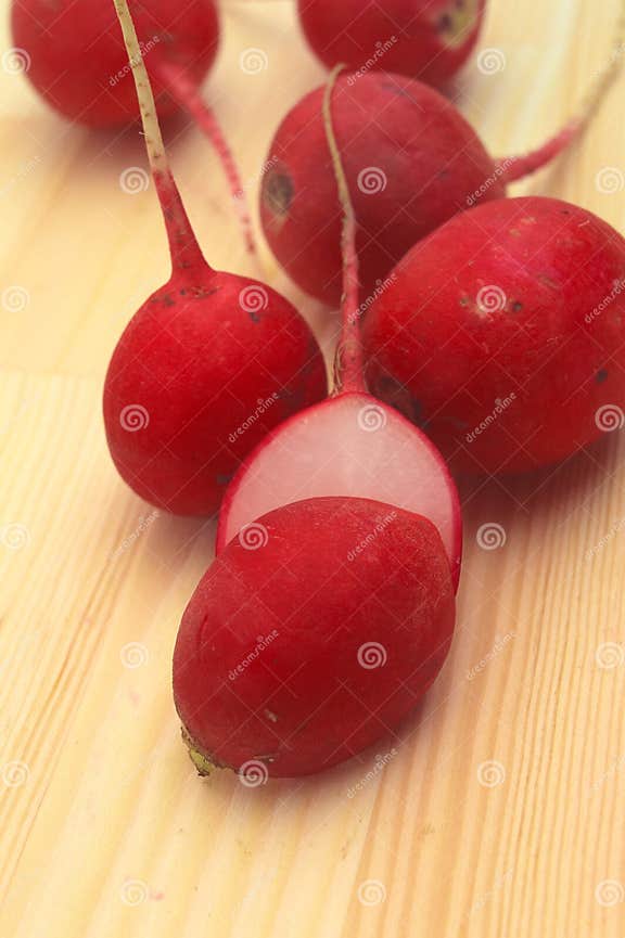 Fresh raddish stock photo. Image of organic, bulb, salad - 27503260