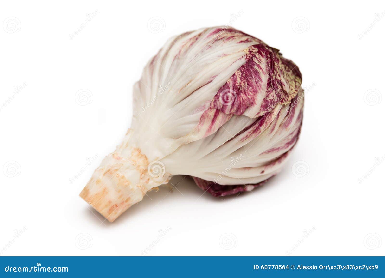 Fresh Radicchio stock photo. Image of cultivation, vegan - 60778564
