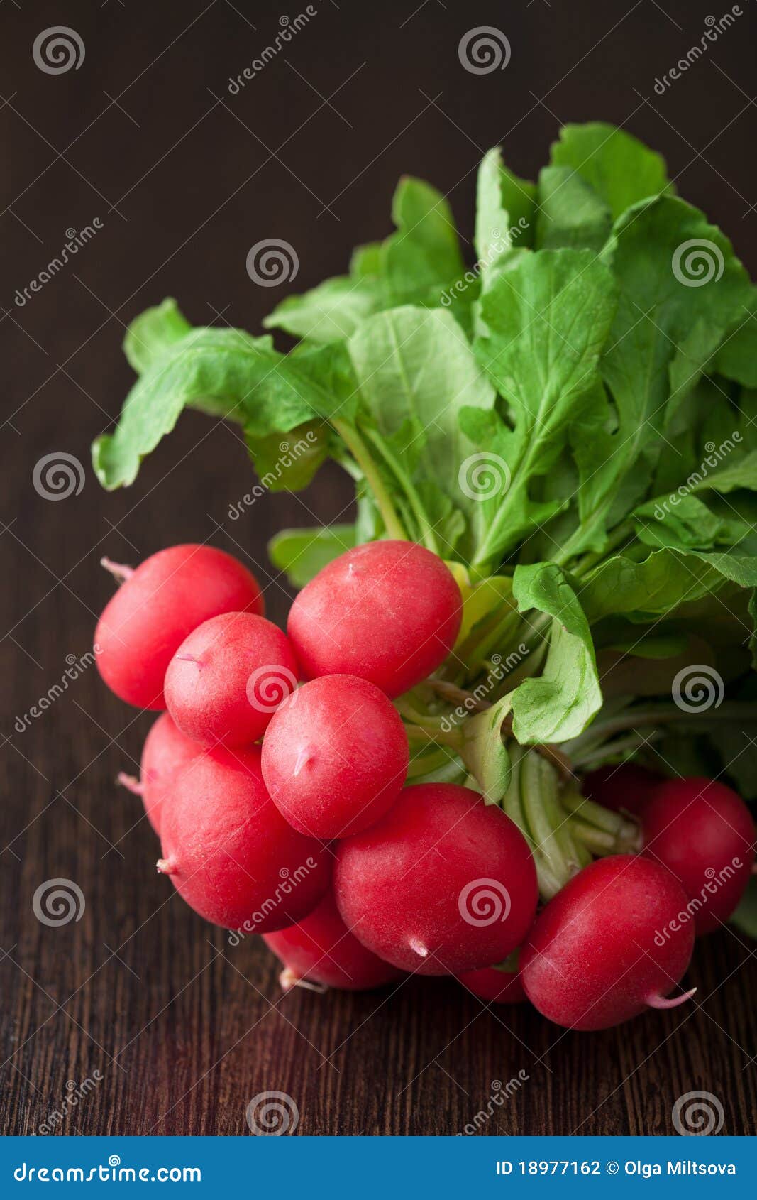 Fresh radish stock photo. Image of ingredient, healthy - 18977162
