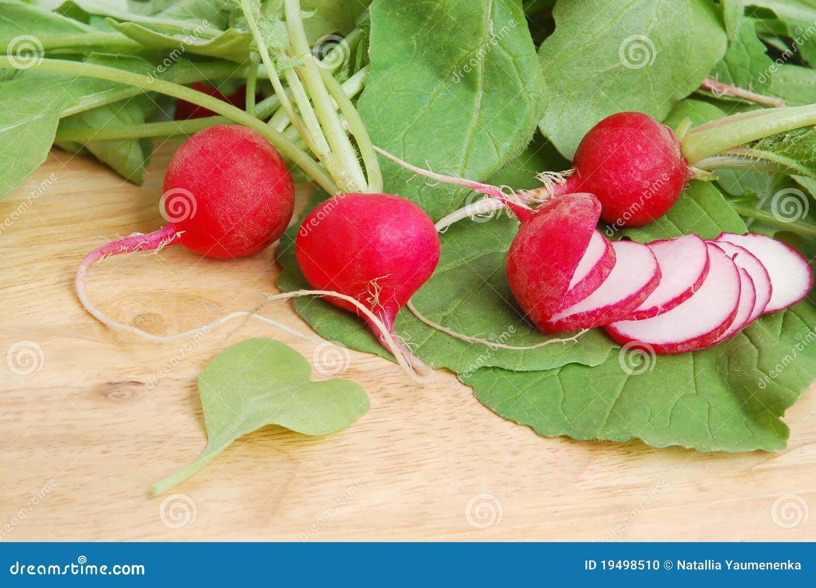 Fresh radish stock photo. Image of appetizer, green, radishes - 19498510