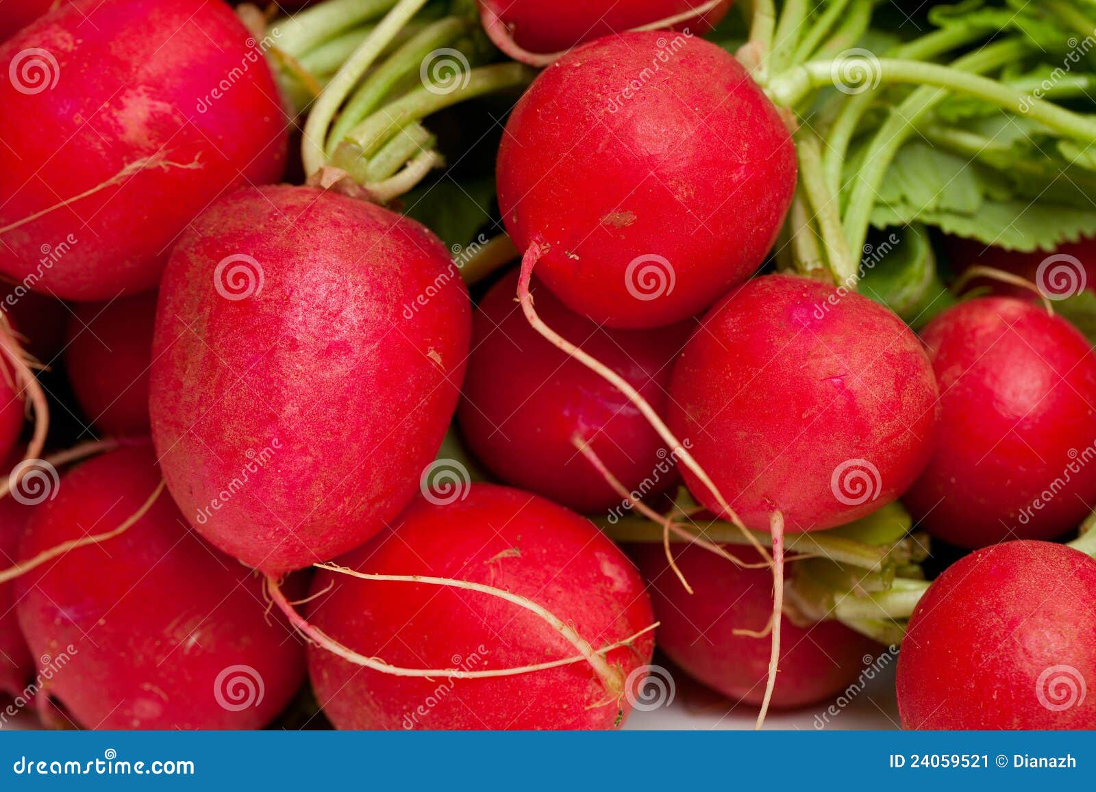 Fresh radish background stock image. Image of freshness - 24059521