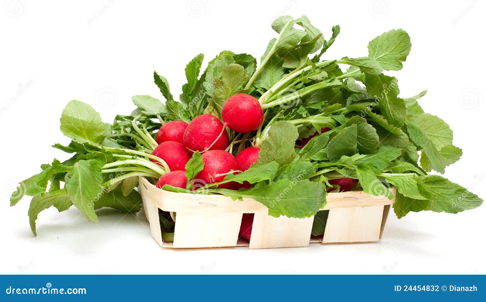 Fresh radish in basket stock photo. Image of bunch, plant - 24454832