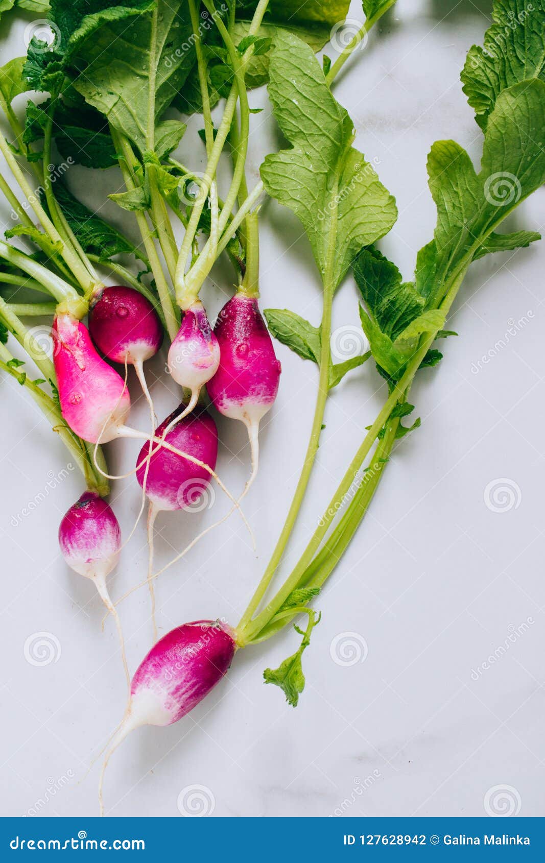 Fresh Radish Bunch on Marble Stock Photo - Image of harvest, colorful ...