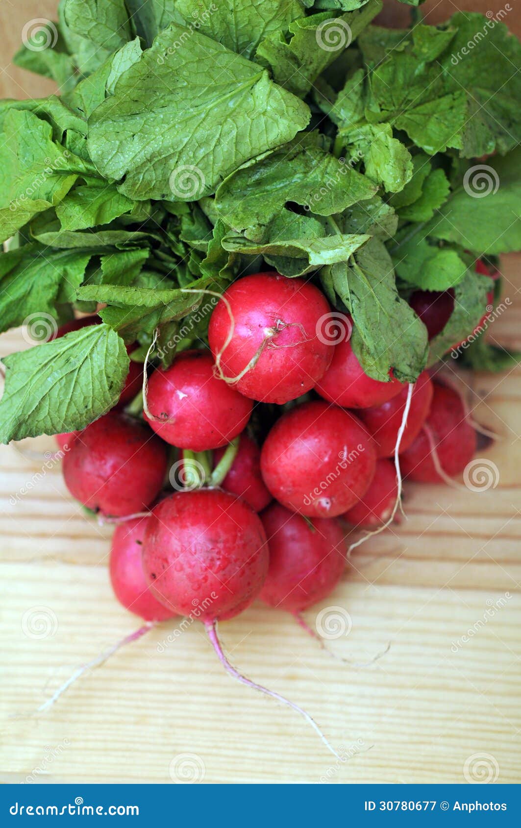 A fresh radish bunch stock image. Image of ingredient - 30780677