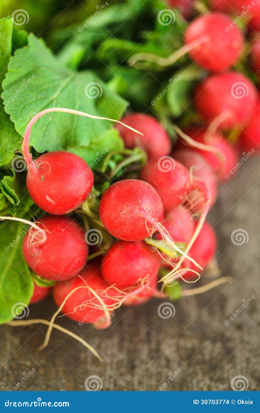 Fresh radish bunch stock photo. Image of group, closeup - 30703774