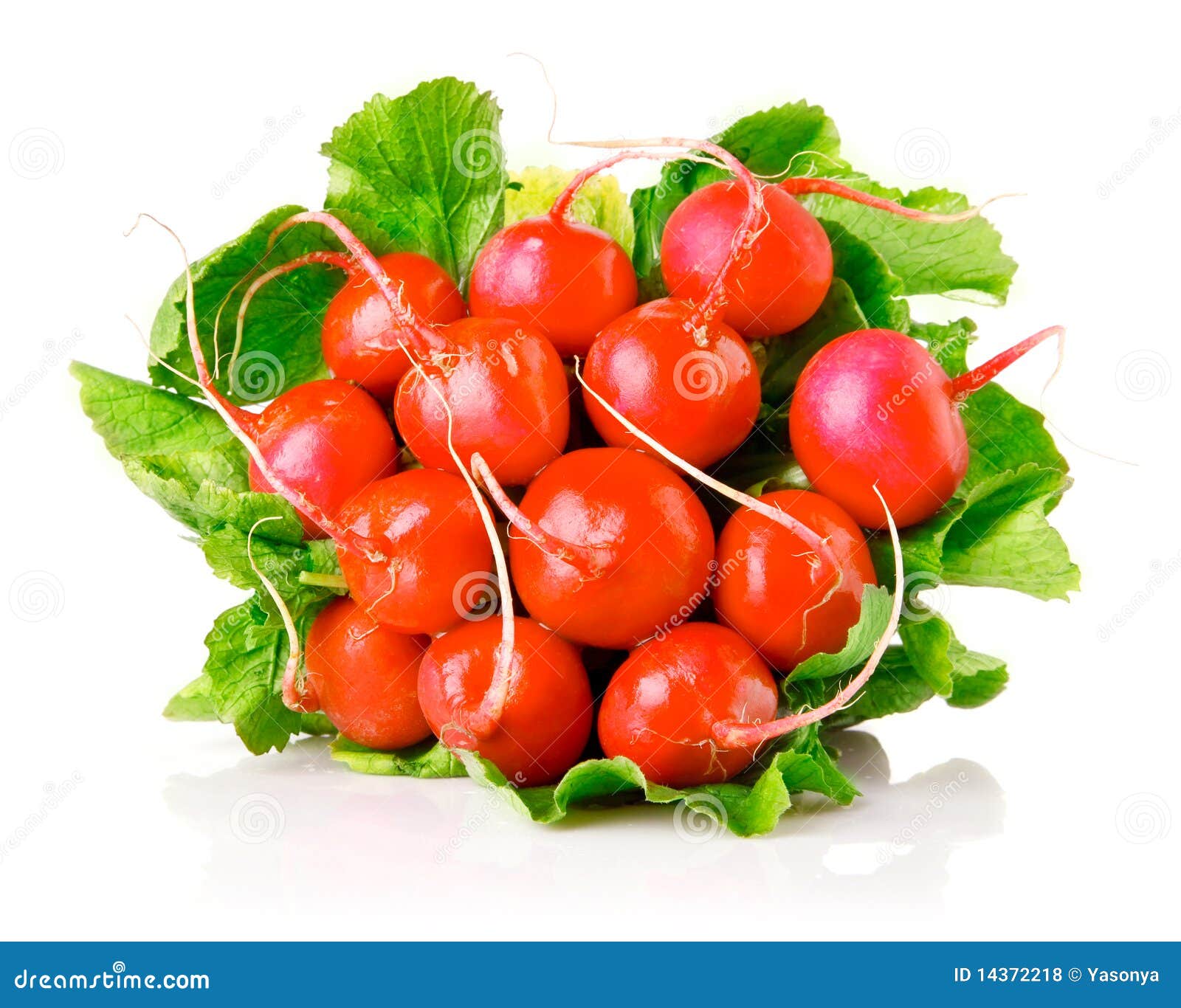 Fresh Radish with Green Leaves Stock Photo - Image of isolated ...