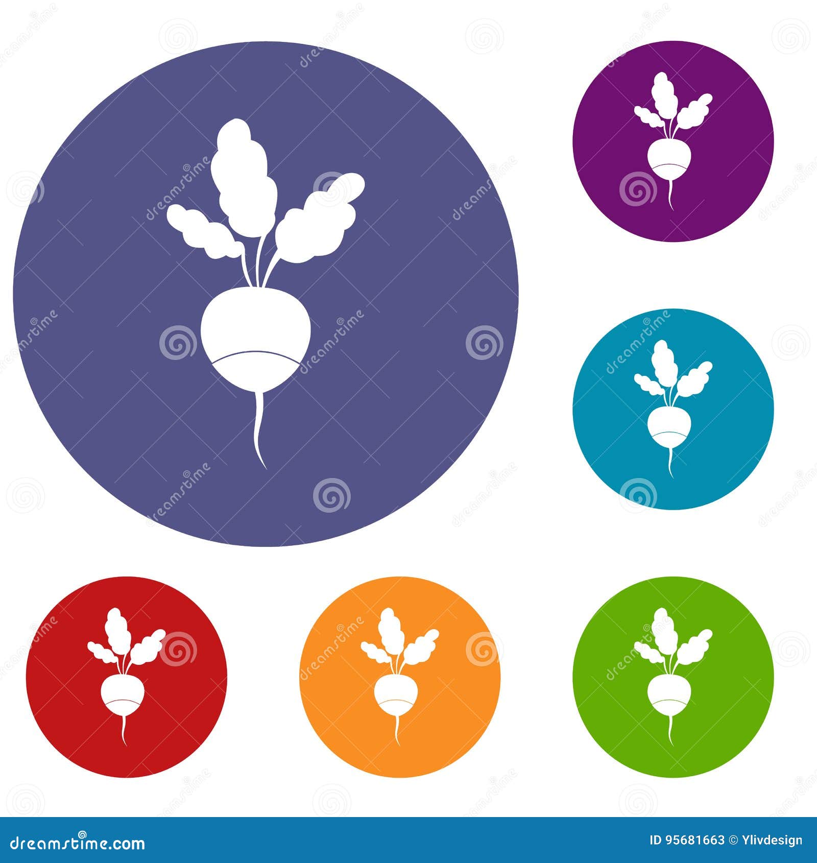 Fresh radish icons set stock vector. Illustration of growth - 95681663
