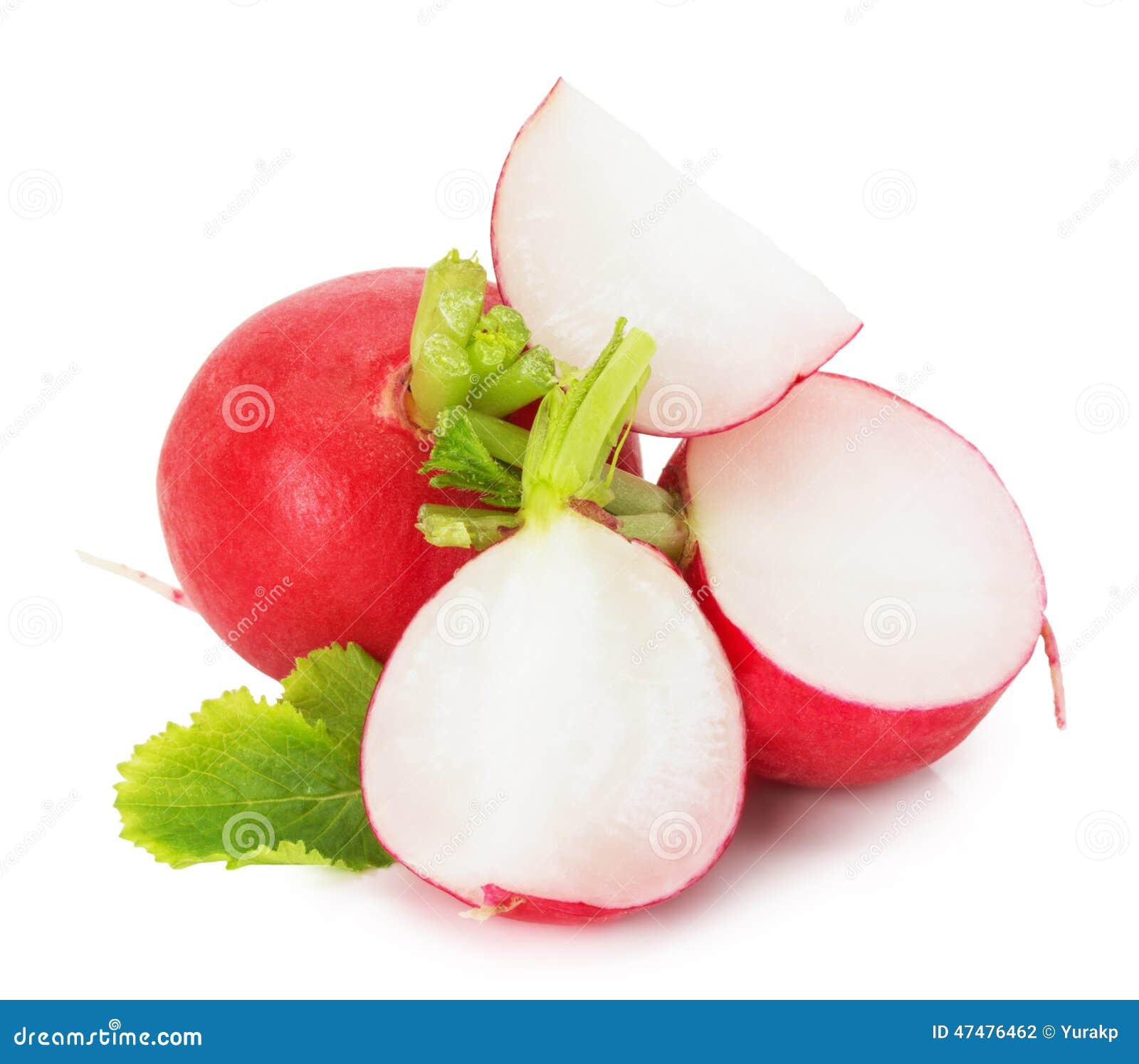 Fresh Radish Isolated on the White Background Stock Photo - Image of ...